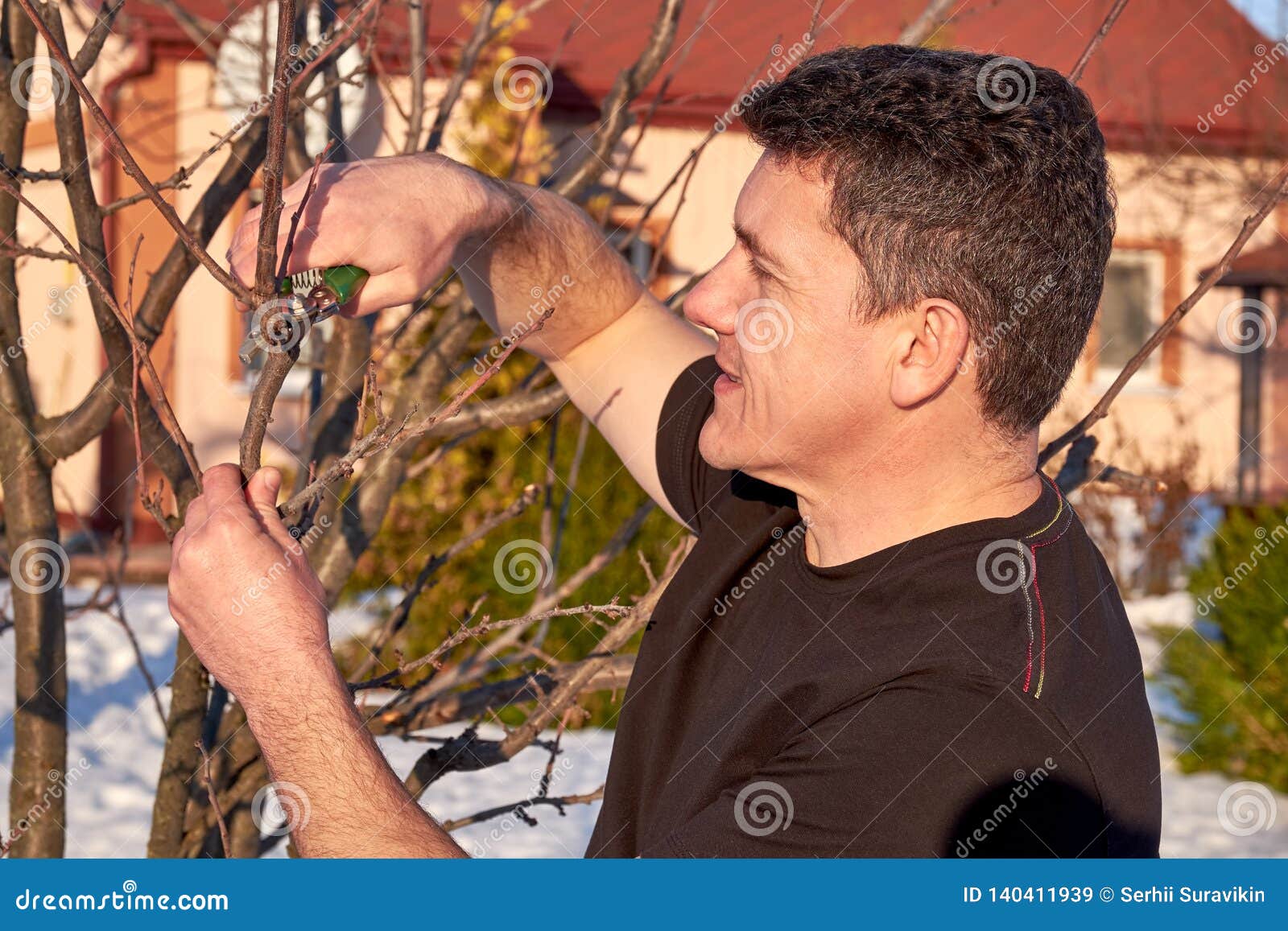 Adult Man with Shears in Hand Pruning Tree Branches in Early Spring ...
