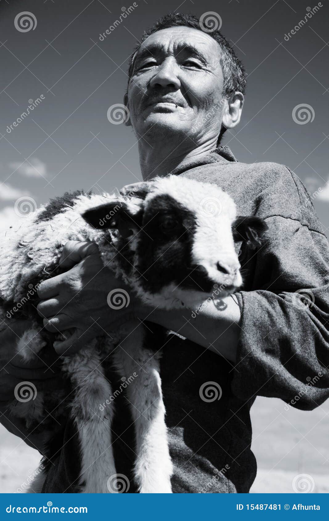 The adult man shepherd stock image. Image of agriculture - 15487481