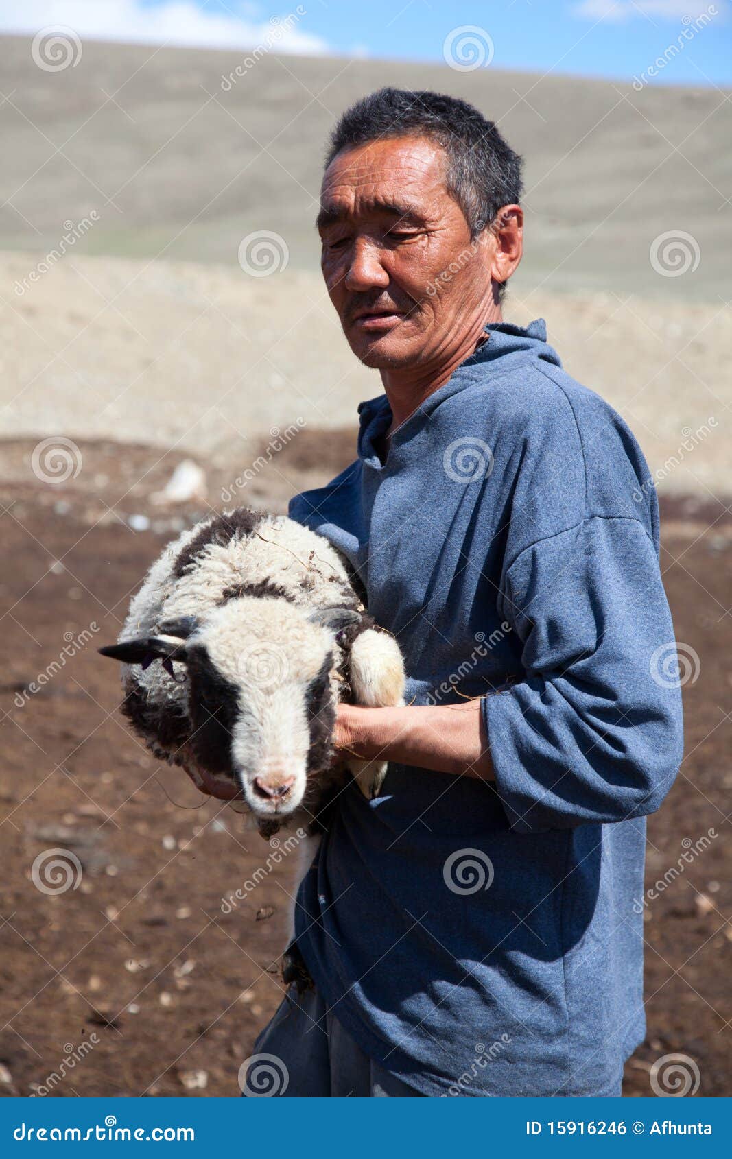The adult man shepherd stock photo. Image of nature, carry - 15916246