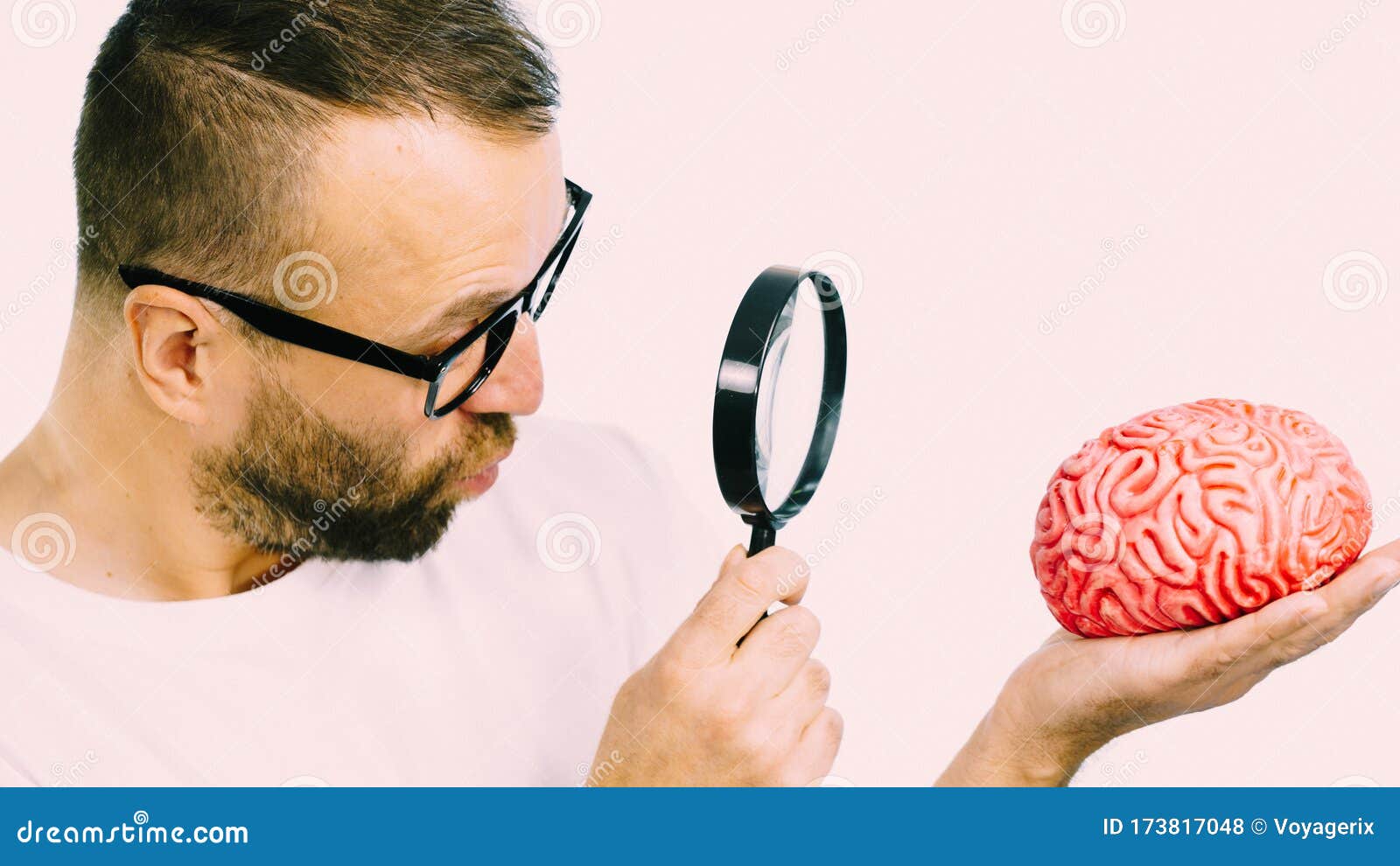 Man looking at human brain stock photo. Image of head - 173817048