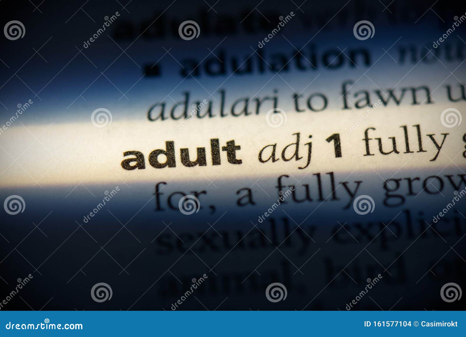 Adult stock photo. Image of meaning, highlighted, english - 161577104