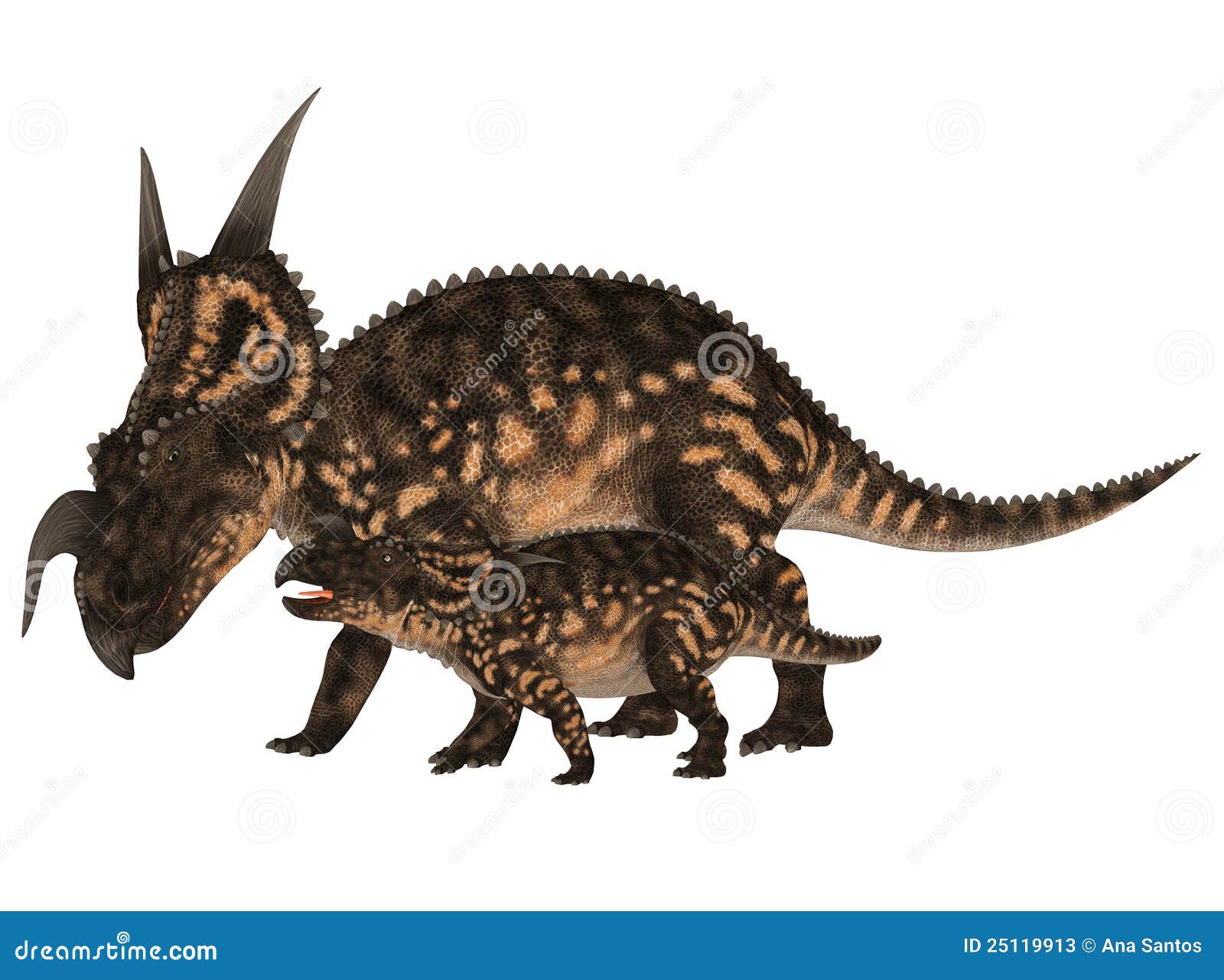 Adult and Young Einiosaurus Stock Illustration - Illustration of adult ...
