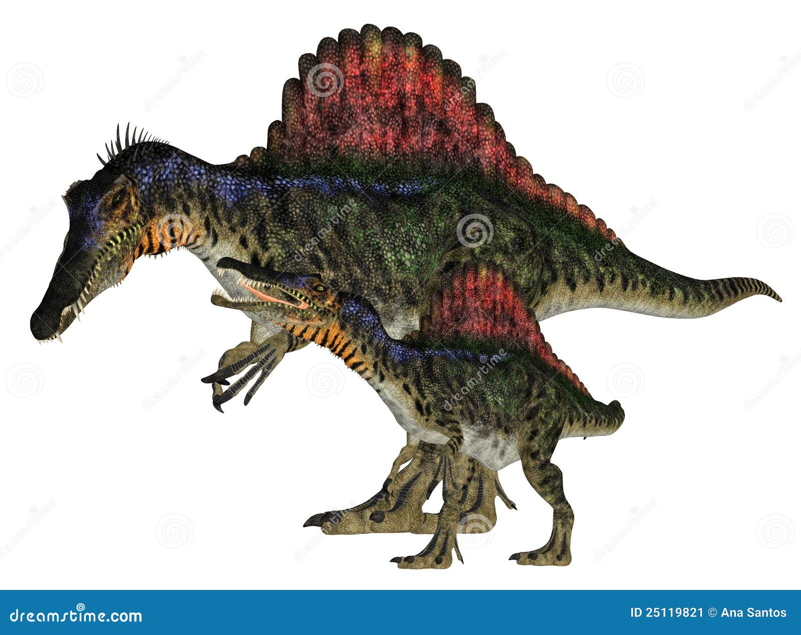 Adult and Young Spinosaurus Stock Illustration - Illustration of ...