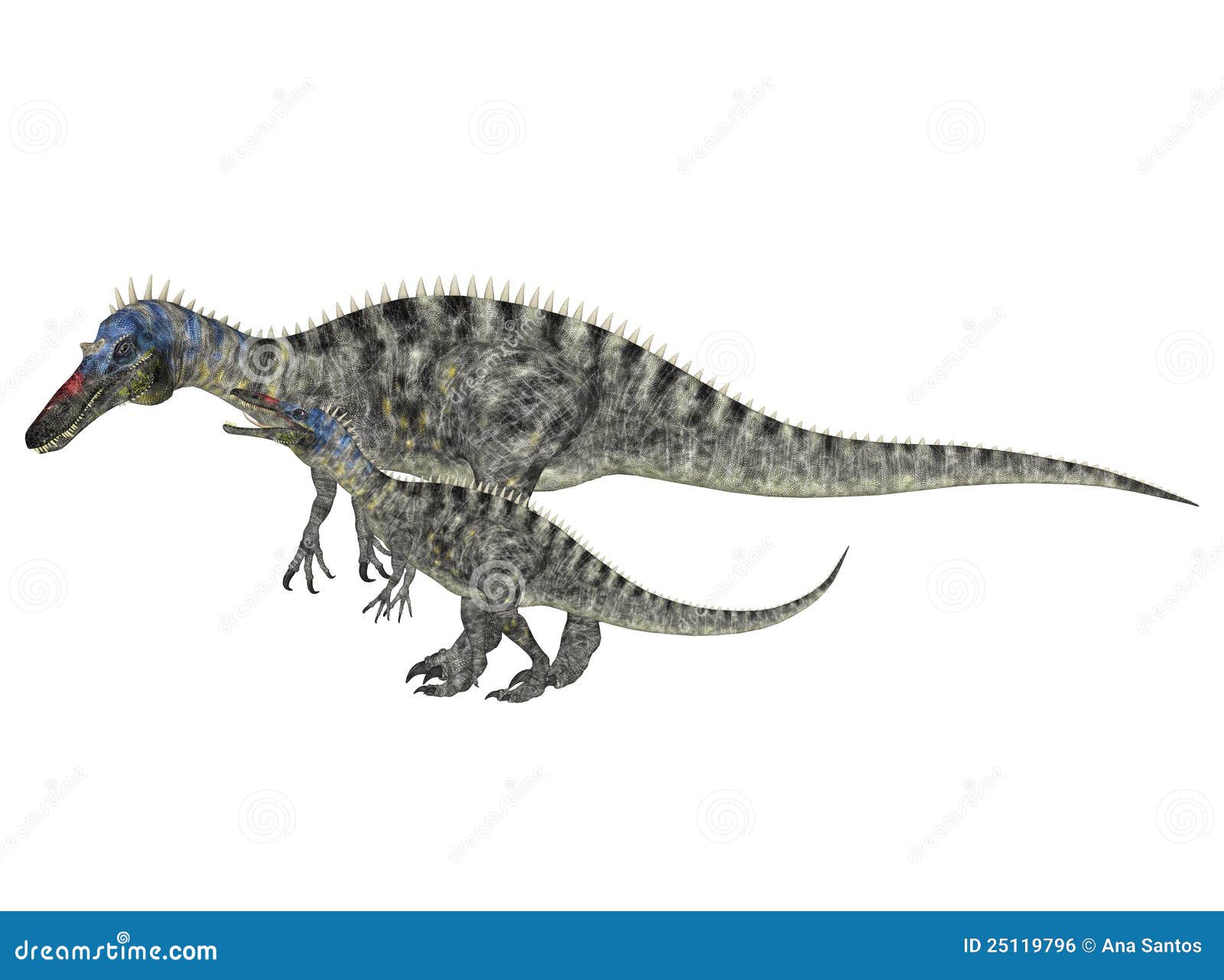 Suchomimus 01 Stock Image | CartoonDealer.com #25649359