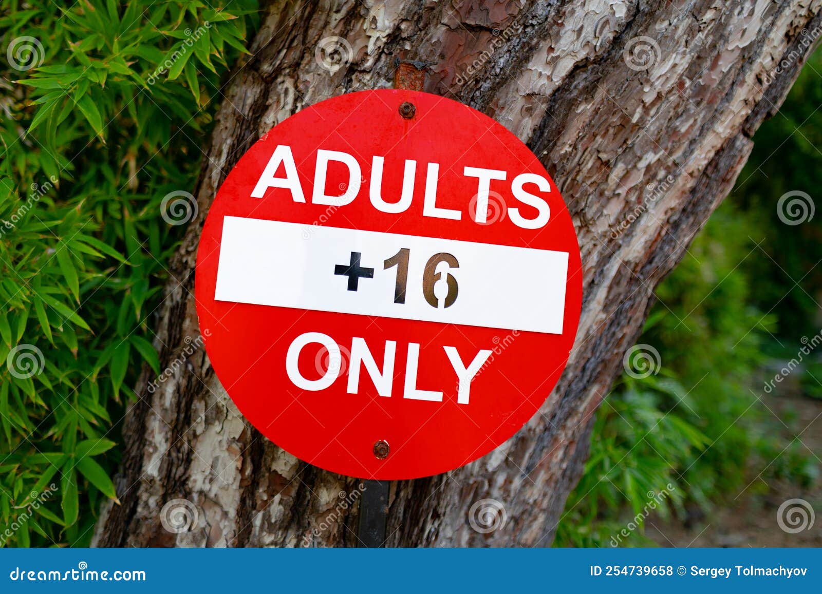 Adults only Sign 16 Hanging on a Tree Stock Photo - Image of people ...