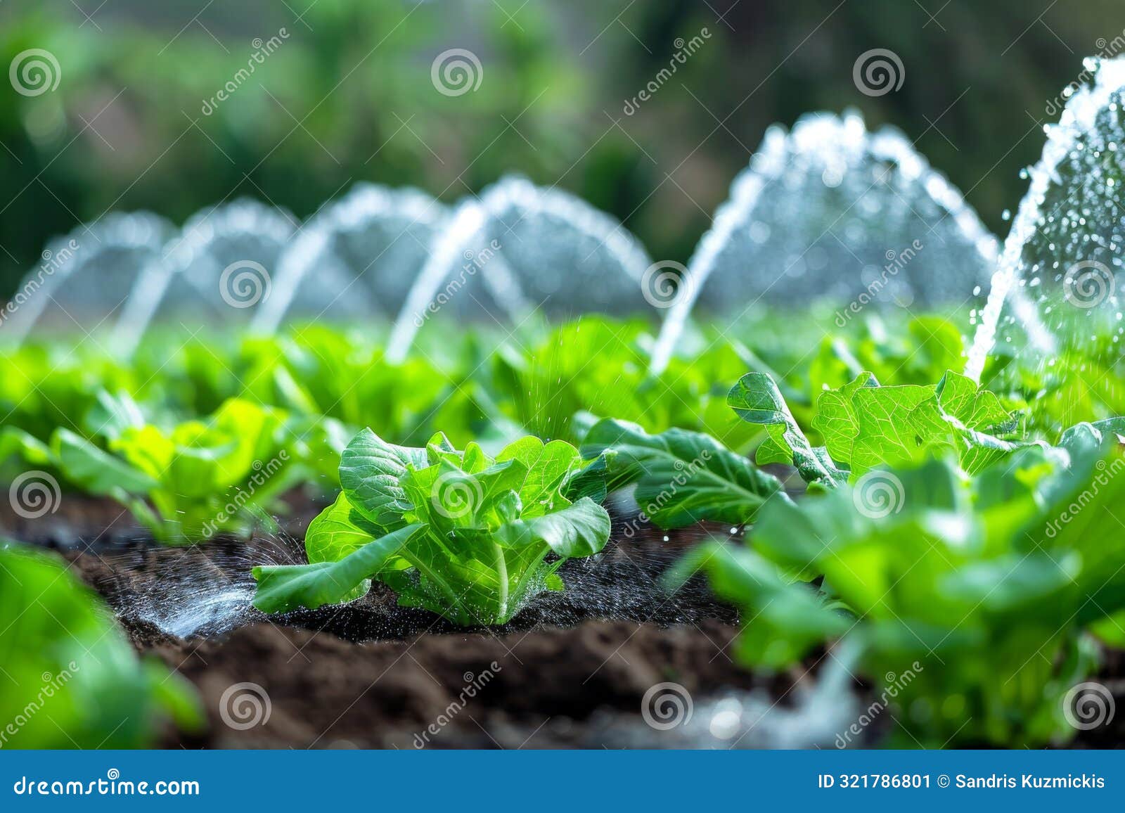 Advanced Agricultural Technology Showcasing a Precision Irrigation ...