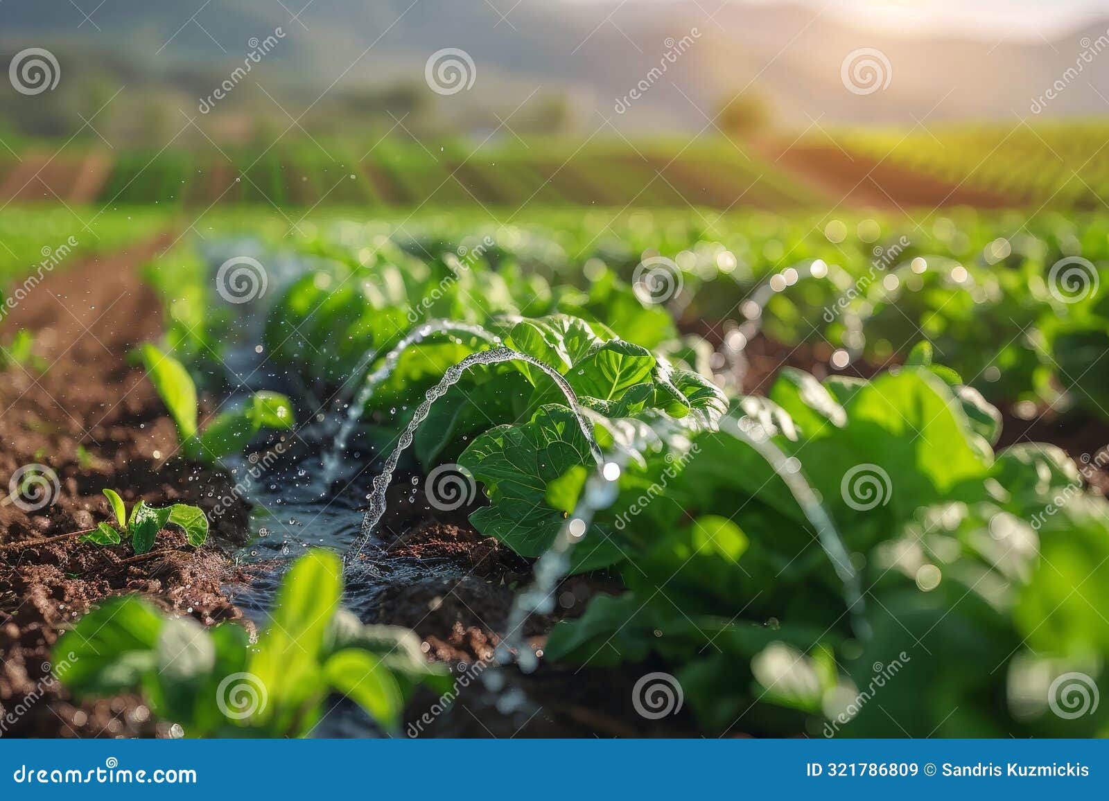 Advanced Agricultural Technology Showcasing a Precision Irrigation ...