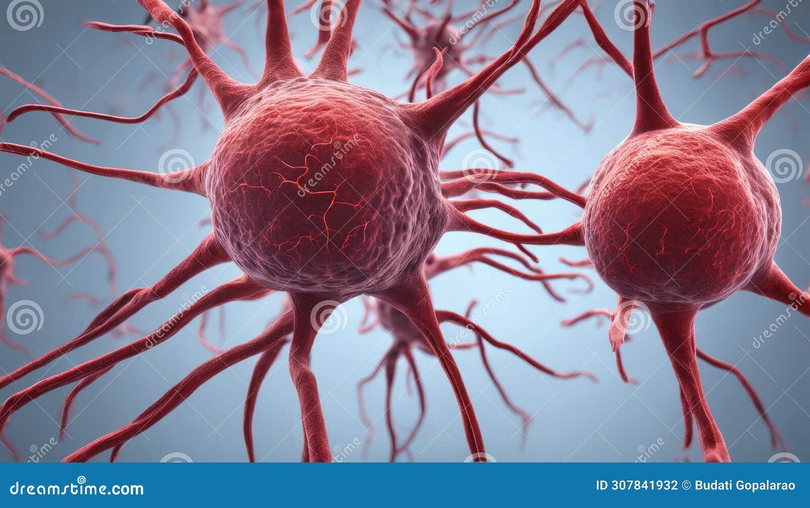 Advanced Cellular Research - a Closer Look at Stem Cells Stock ...