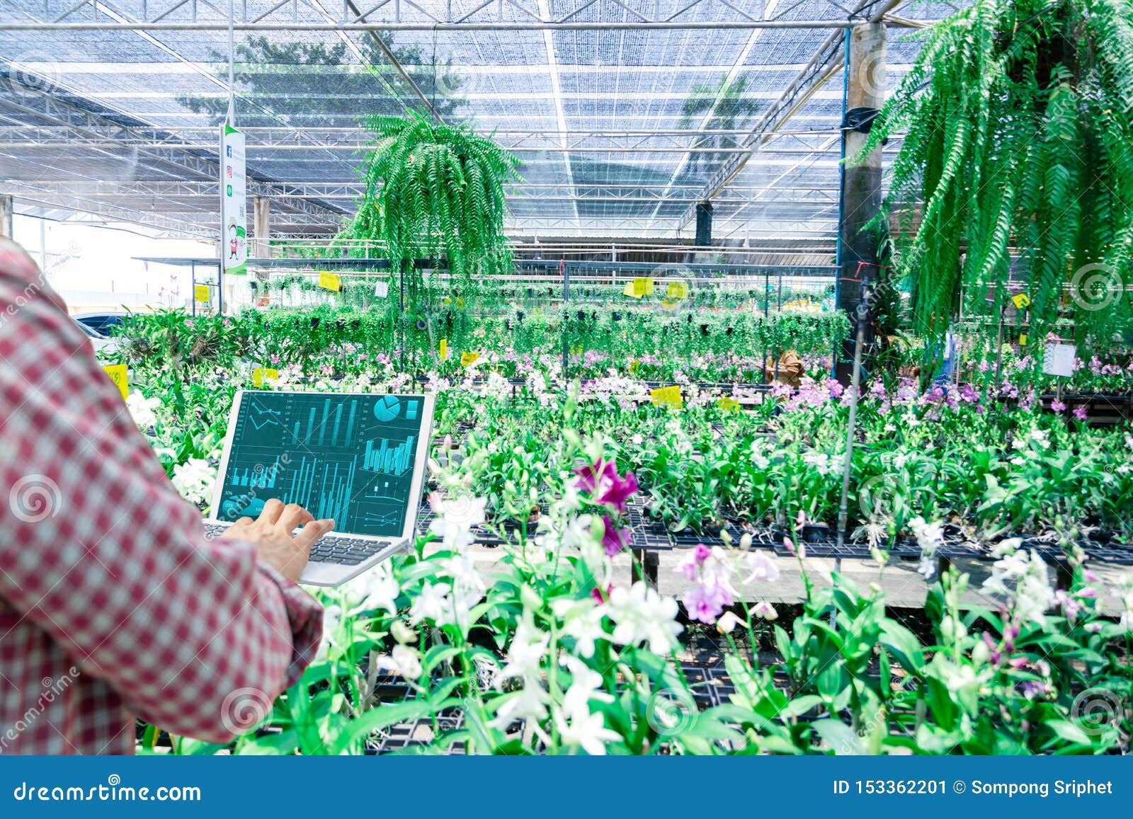 Advanced Farmers Quality Inspection Agricultural Product with Computer ...