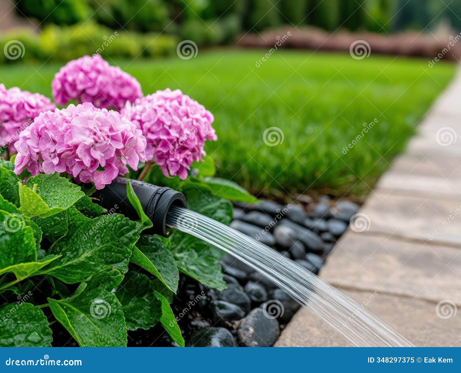 Advanced Irrigation Methods for Summer Gardens Water Conservation Strategies and Techniques for ...