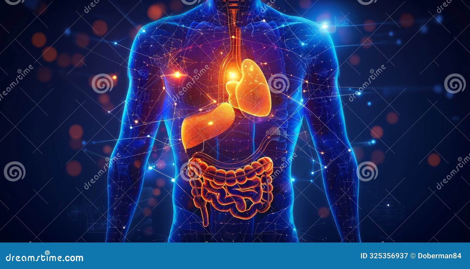 Futuristic Medical Illustration of the Human Digestive System with ...