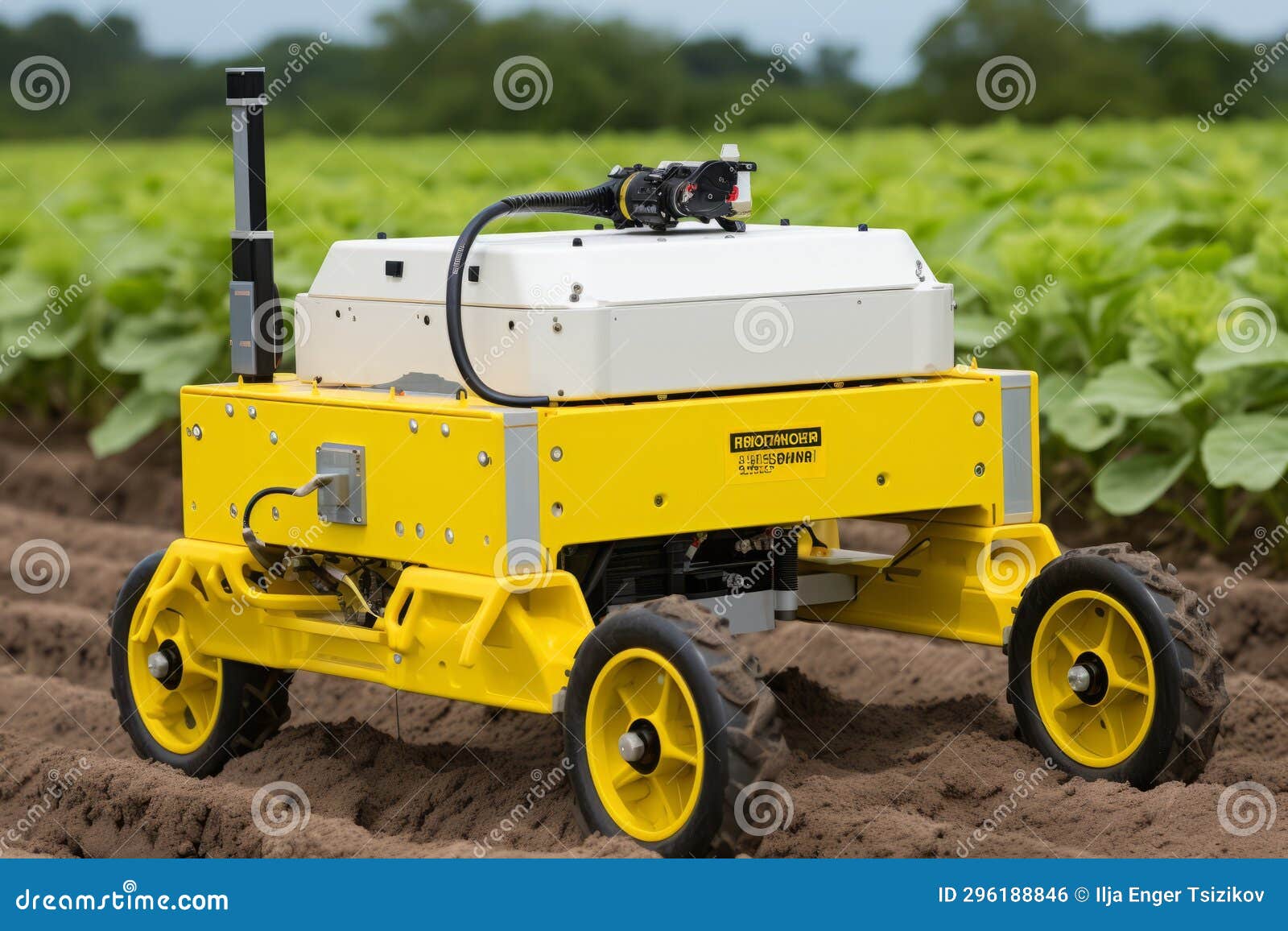 Advanced Robotic Vegetable Harvesting System Operating in a Lush and ...