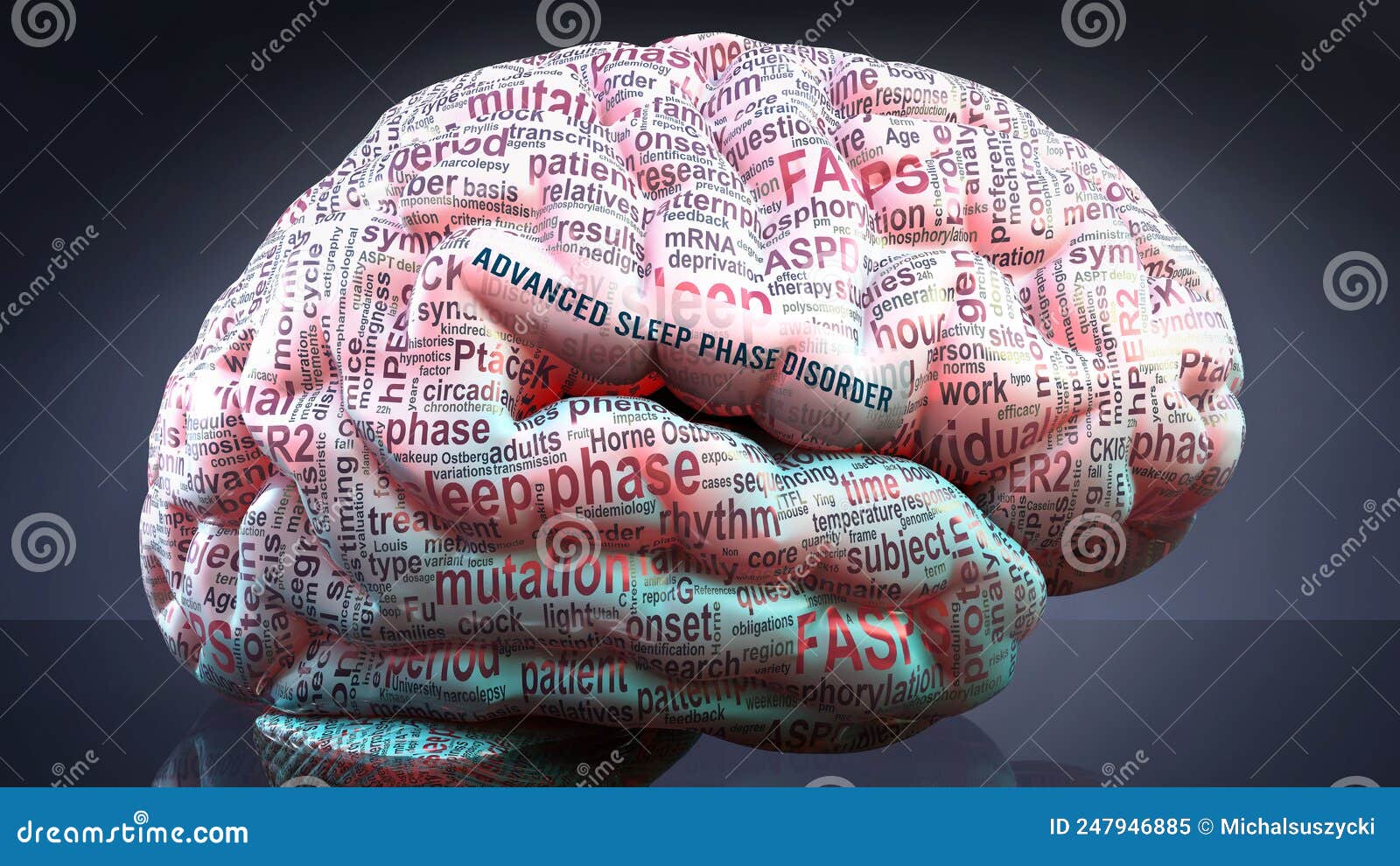 Advanced Sleep Phase Disorder and a Human Brain Stock Illustration ...
