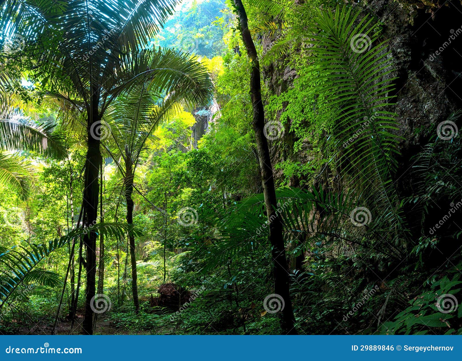 Adventure Background. Green Jungle Stock Image | CartoonDealer.com ...