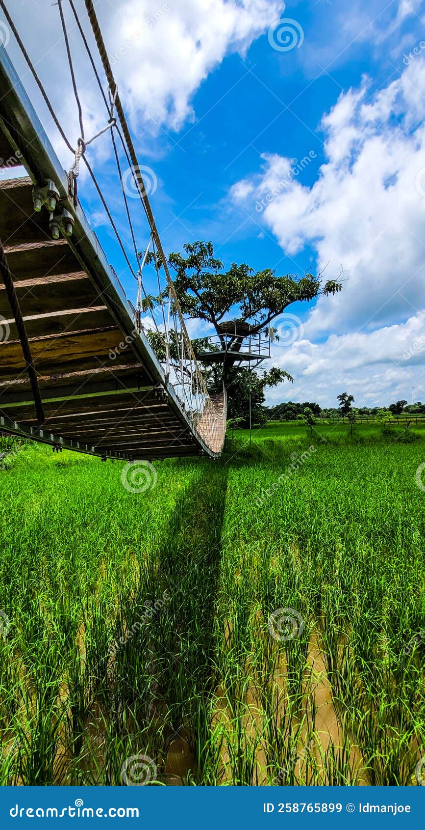 Adventure bridge stock image. Image of field, path, travel - 258765899
