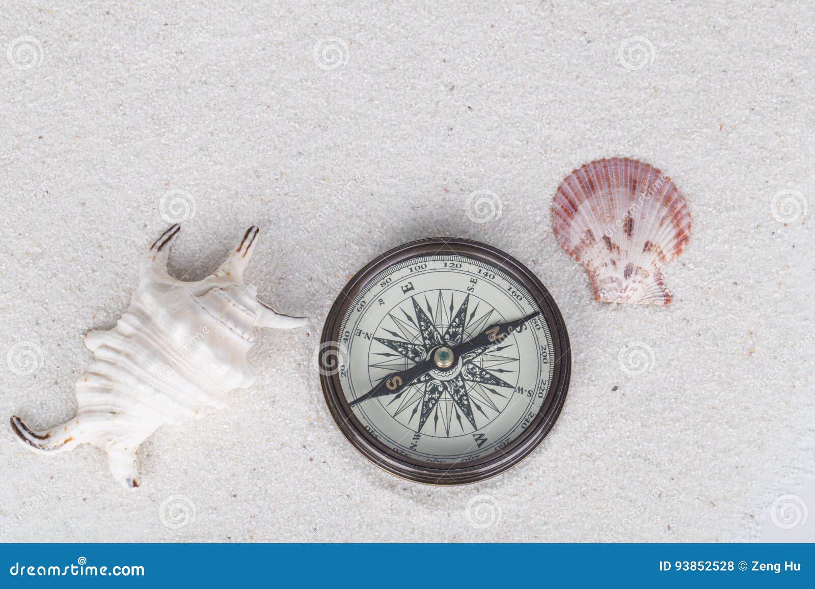 Adventure Decoration with Compass, Shell and Conch on the White Sand ...
