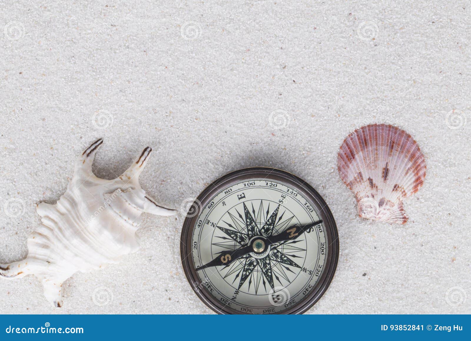 Adventure Decoration with Compass, Shell and Conch on the White Sand ...