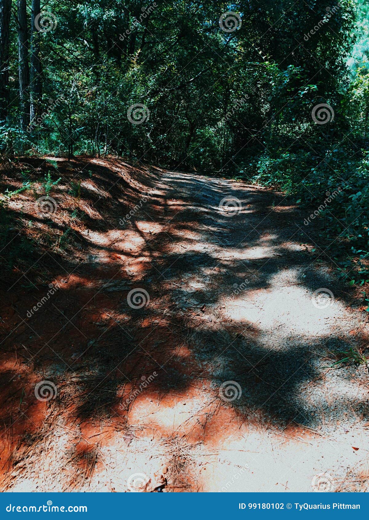 Pathway stock photo. Image of local, natural, trail, adventure - 99180102