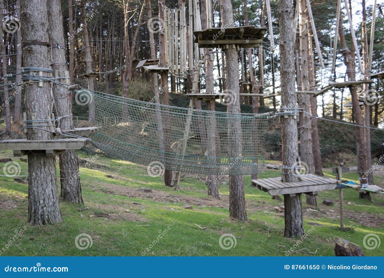The Adventure Park in the Forest Stock Photo - Image of danger, climb ...