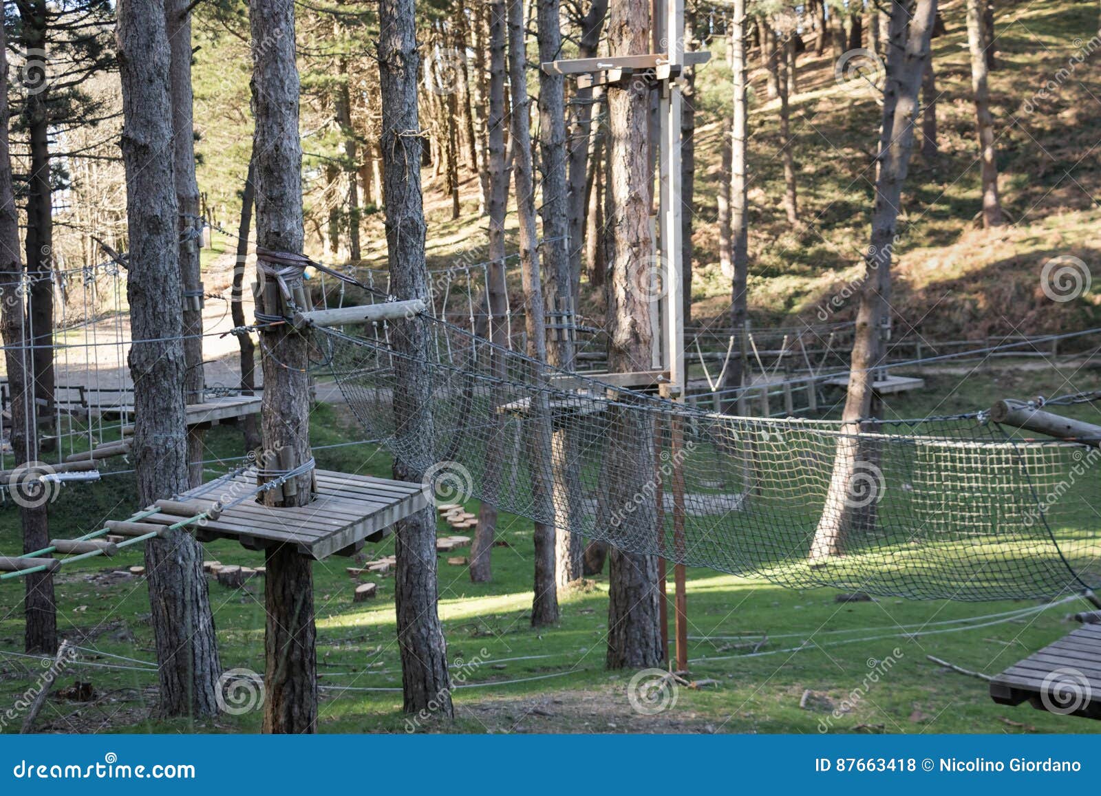 The Adventure Park in the Forest Stock Photo - Image of fitness ...