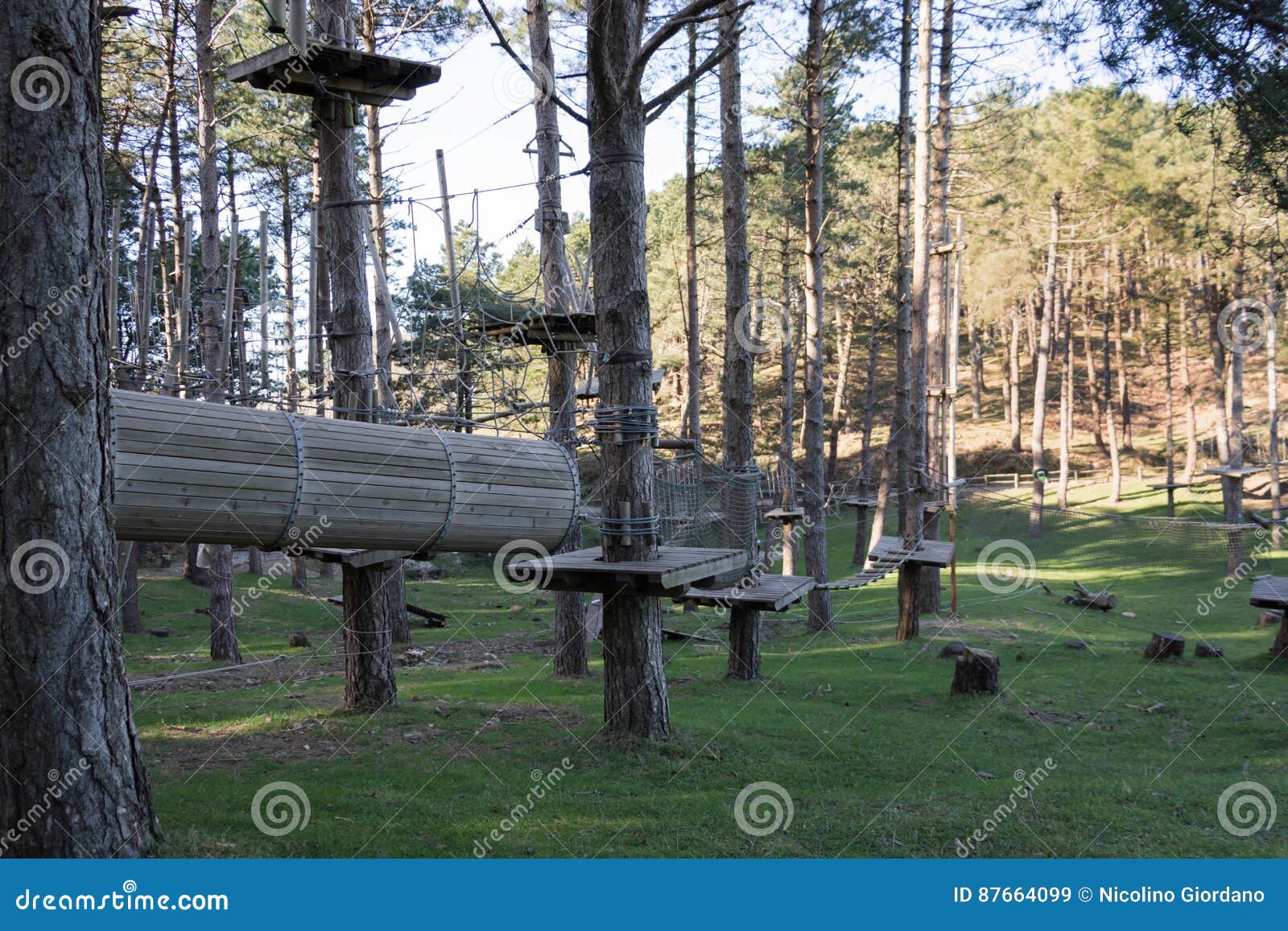The Adventure Park in the Forest Stock Image - Image of high, balancing ...