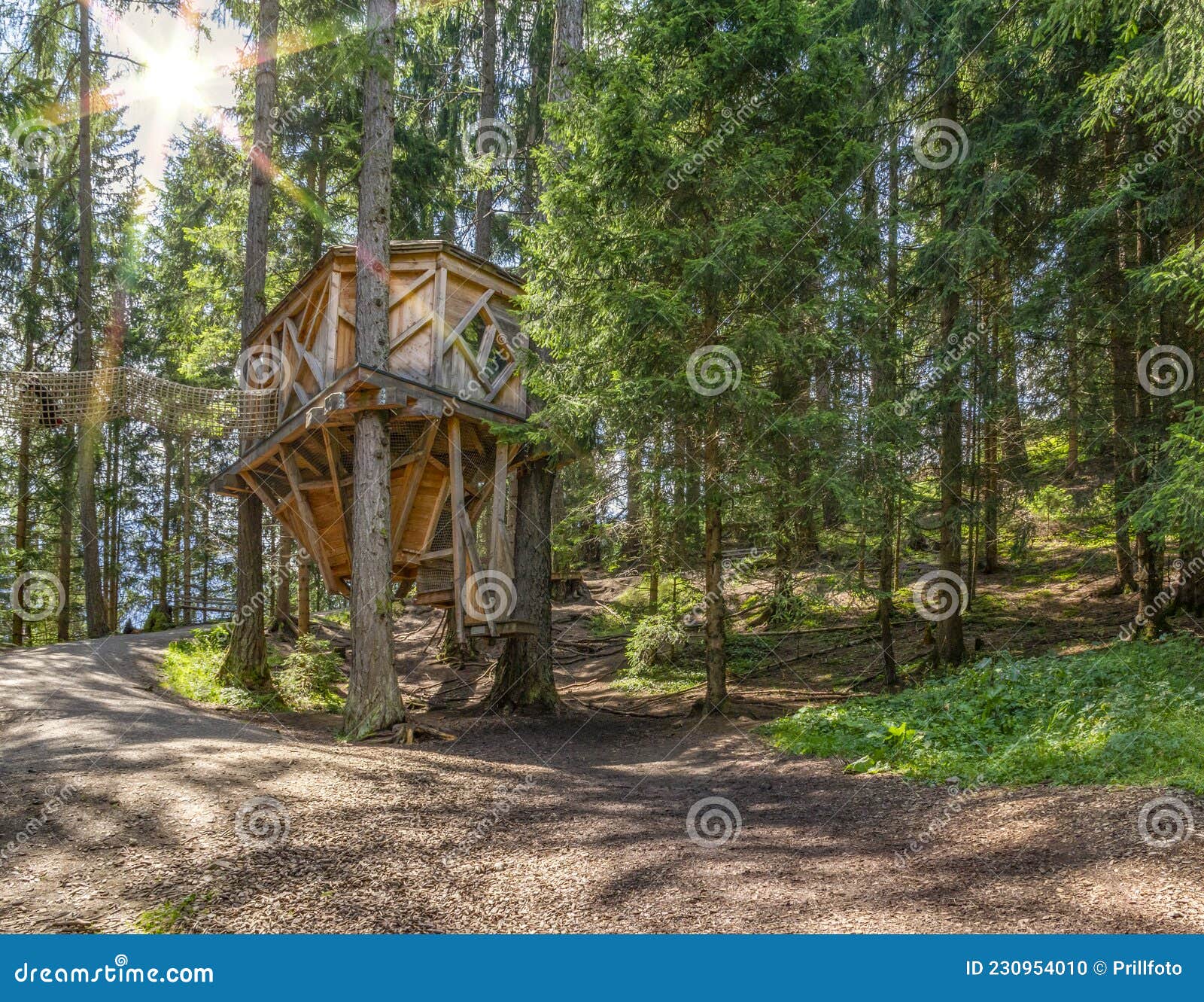 Adventure park stock photo. Image of tree, aerial, walkway - 230954010