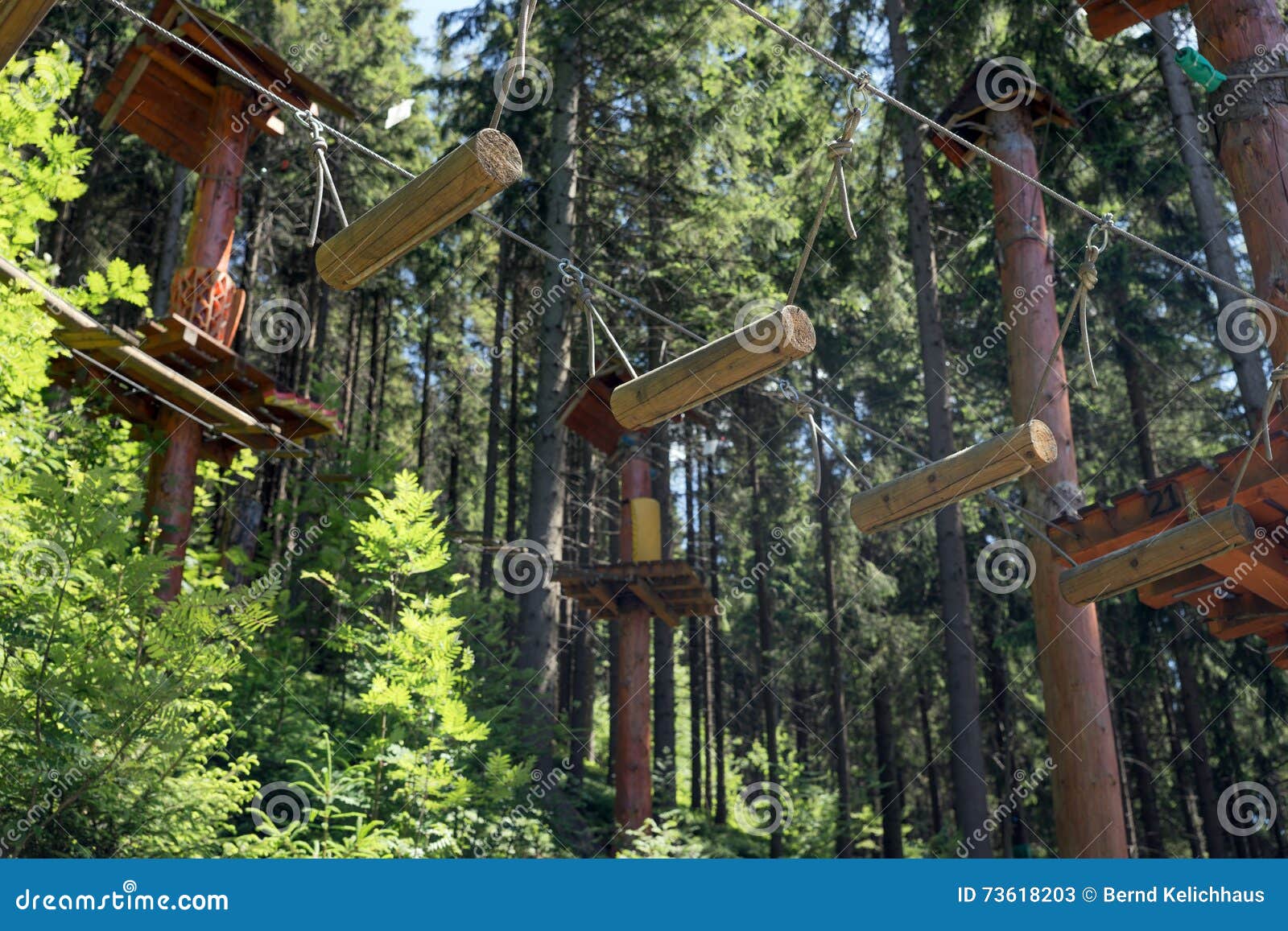 Adventure Playground in the Trees Stock Image - Image of play, climbing ...