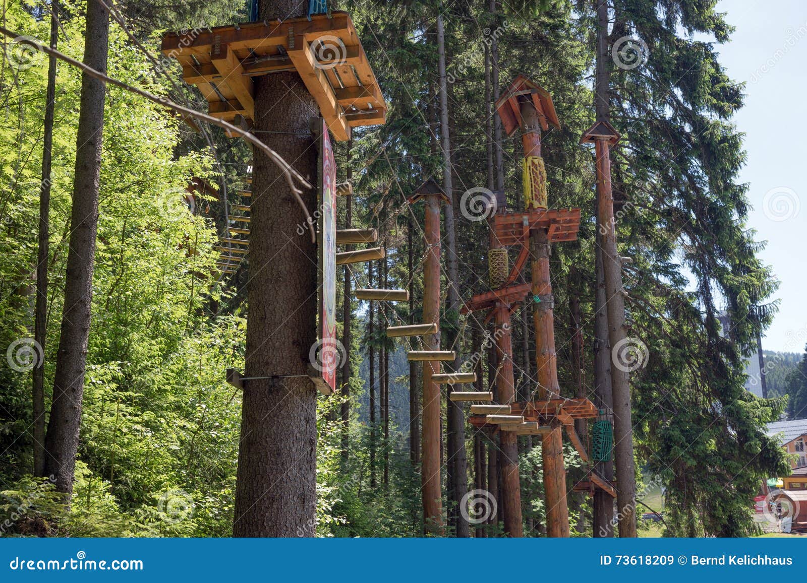 Adventure Playground in the Trees Stock Image - Image of climb, action ...