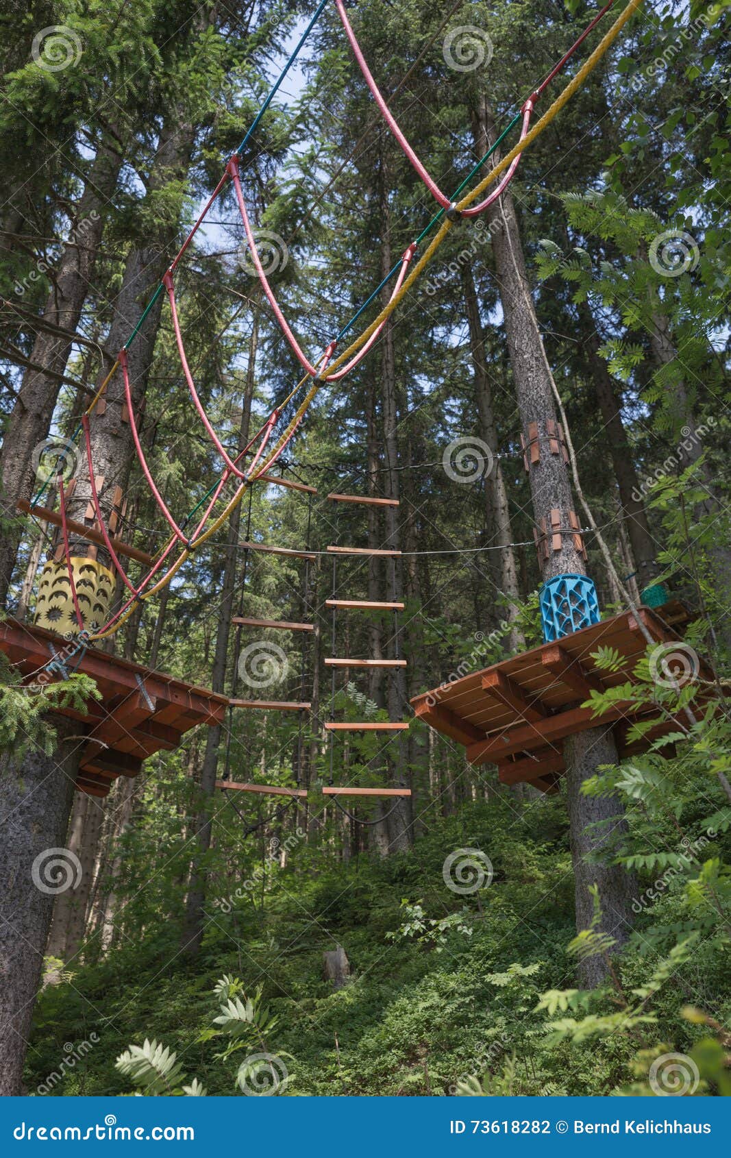 Adventure Playground in the Trees Stock Photo - Image of challenge ...