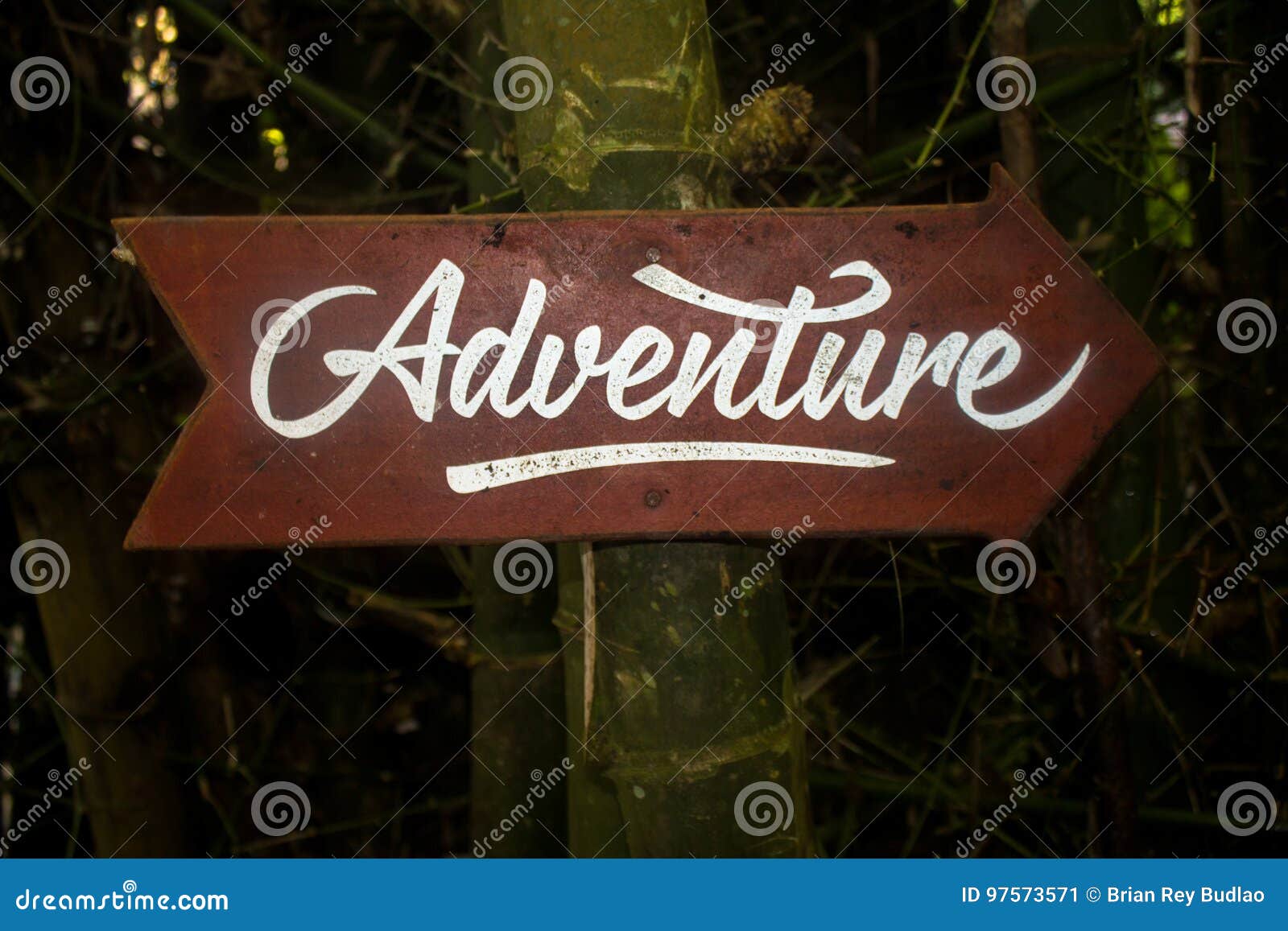 Adventure signboard stock image. Image of leaves, summer - 97573571