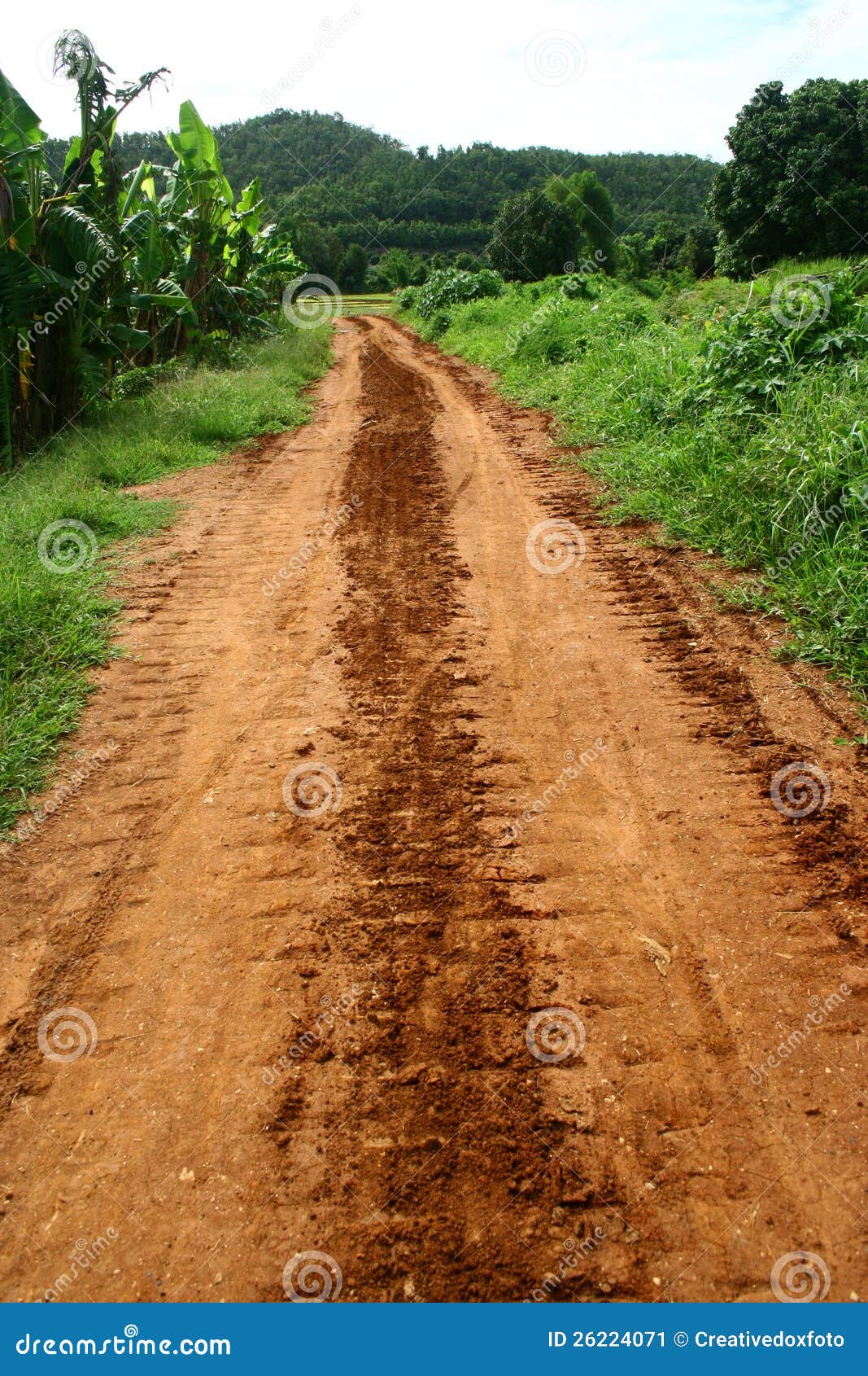 Adventure soil road stock image. Image of plain, national - 26224071