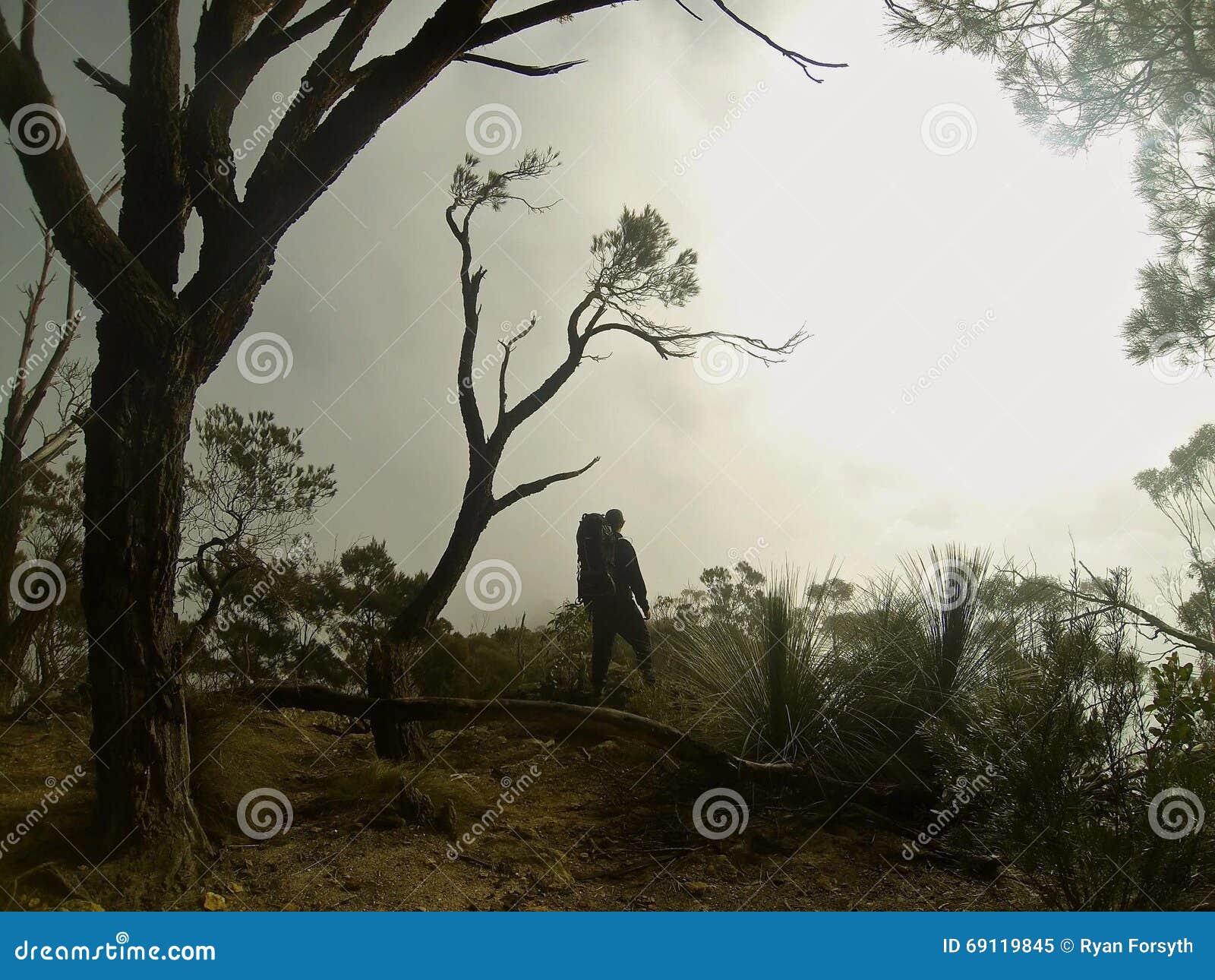 Adventure into the unknown stock image. Image of lifestyle - 69119845