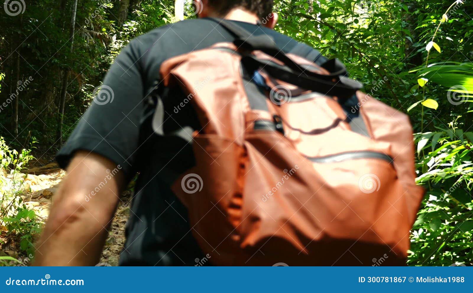 Adventurous Man with Backpack Exploring Tropical Stock Video - Video of ...