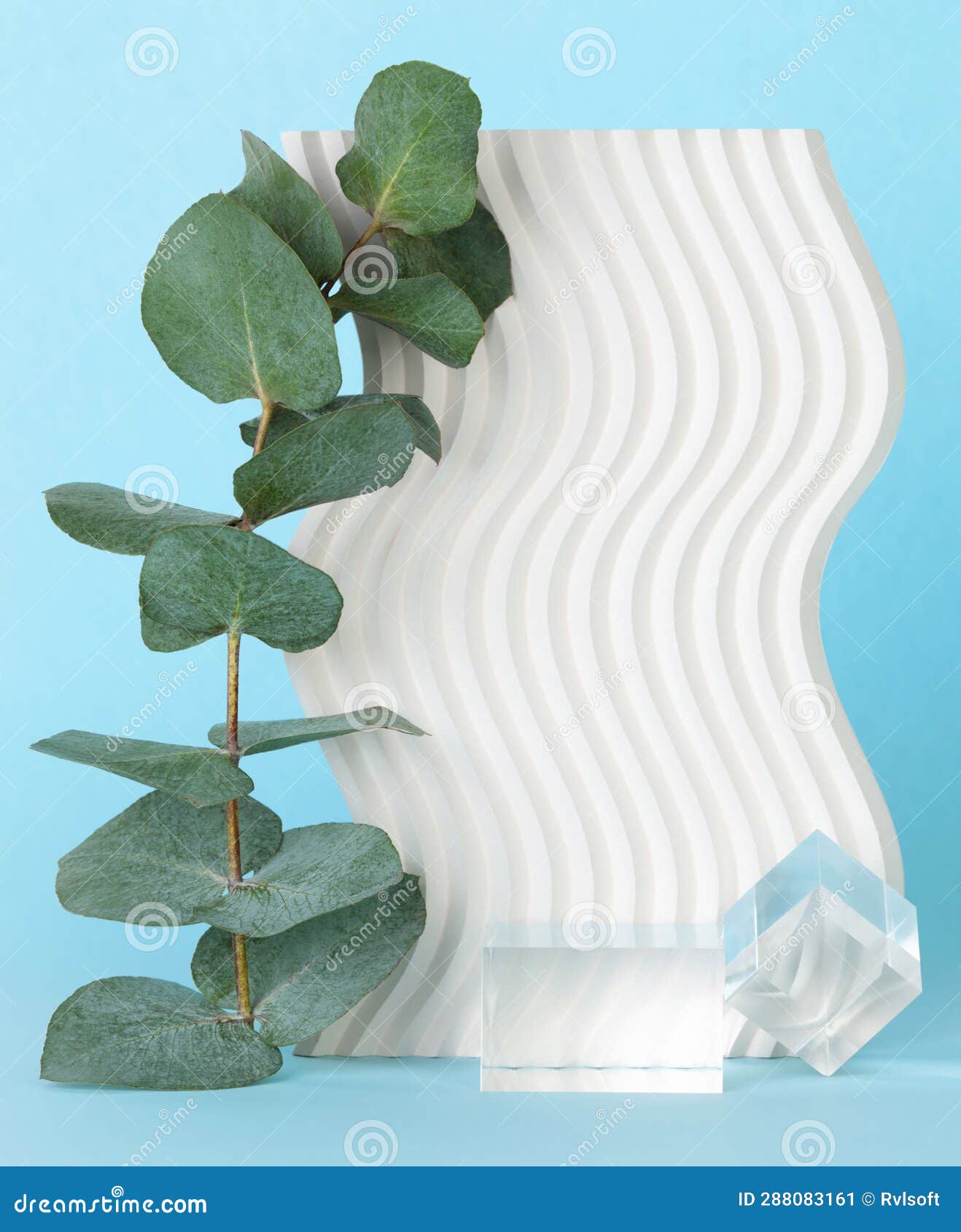 Advertisement Prodium with White Decor Wave and Eucalyptus Plant, on ...