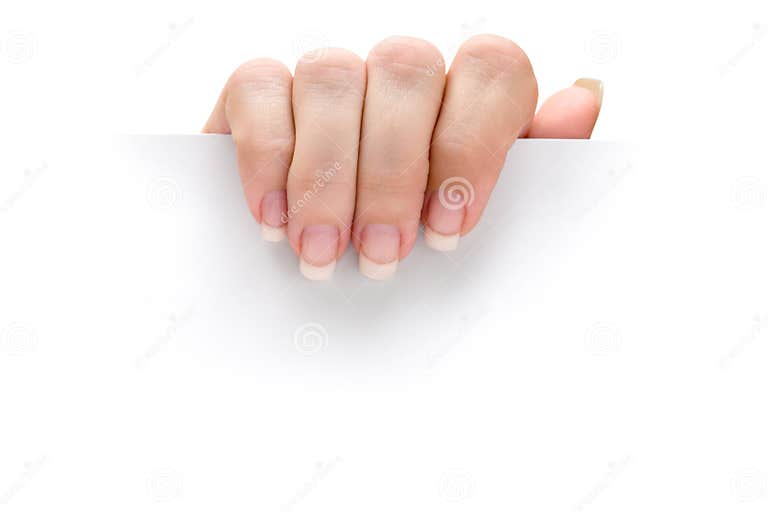 Advertising stock photo. Image of custom, empty, card - 4455084