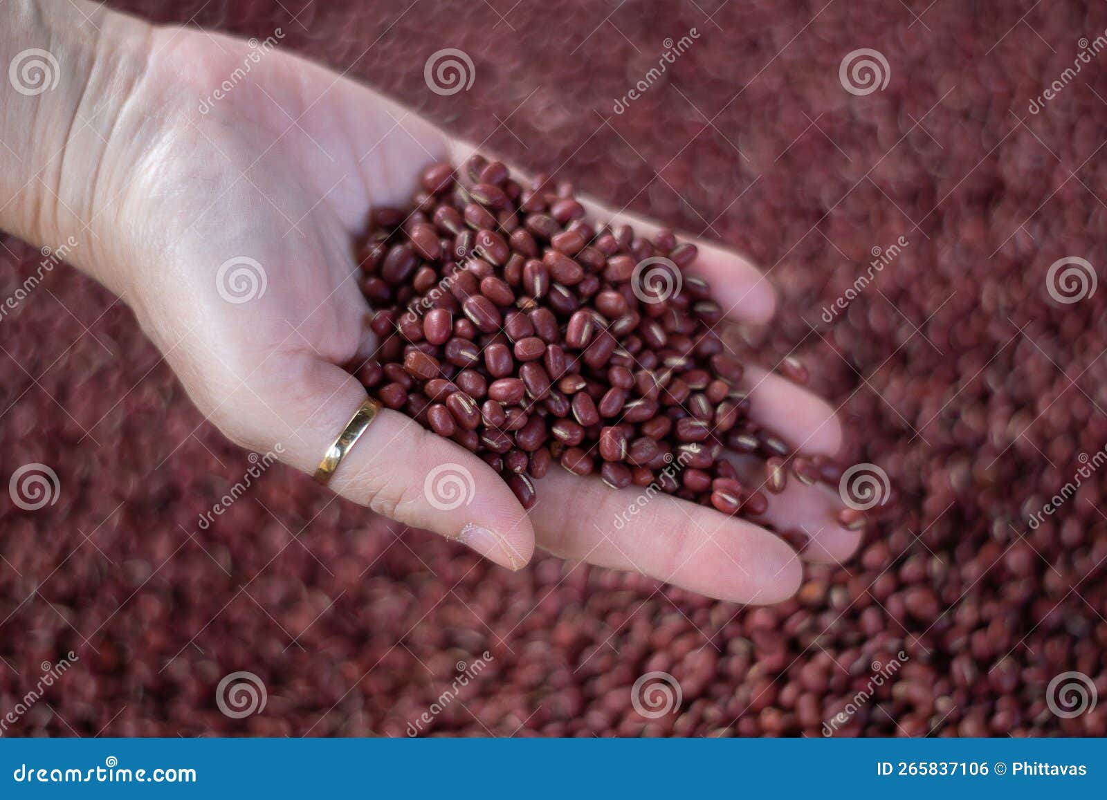 Adzuki Bean on Hands or Red Bean Over Red Background Stock Photo ...