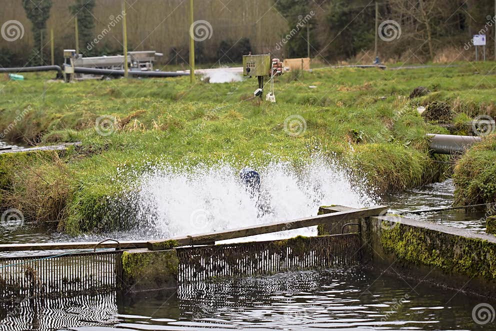 Aerator on trout farm stock photo. Image of aerator, oxygen - 88698608