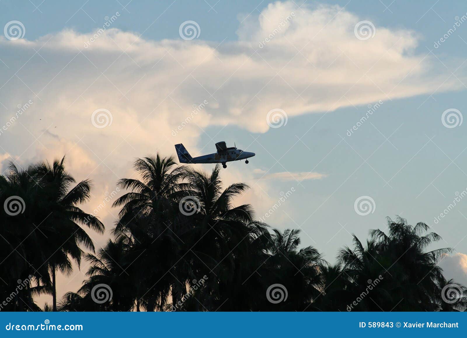Aereo Al Decollo Sopra Le Palme Immagine Stock - Immagine di pacifico ...
