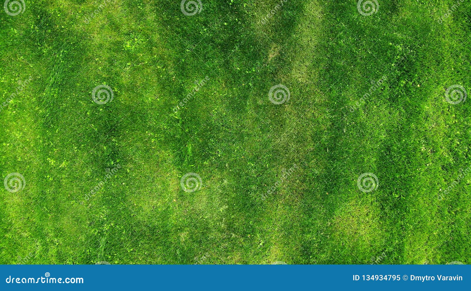 Aerial. Green Grass Texture Background. Stock Image - Image of textured ...
