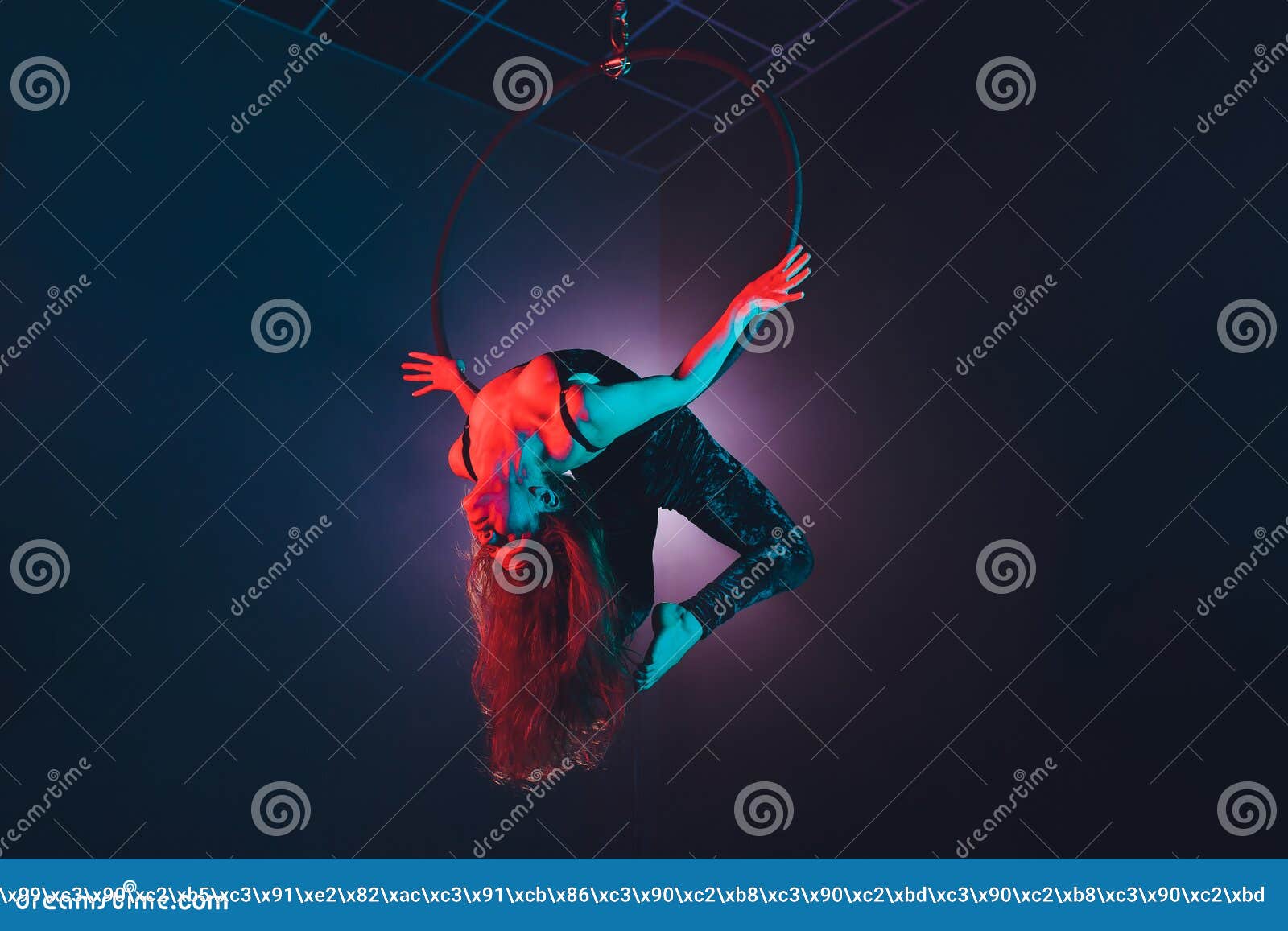 Aerial Acrobat in the Ring. a Young Girl Performs the Acrobatic ...