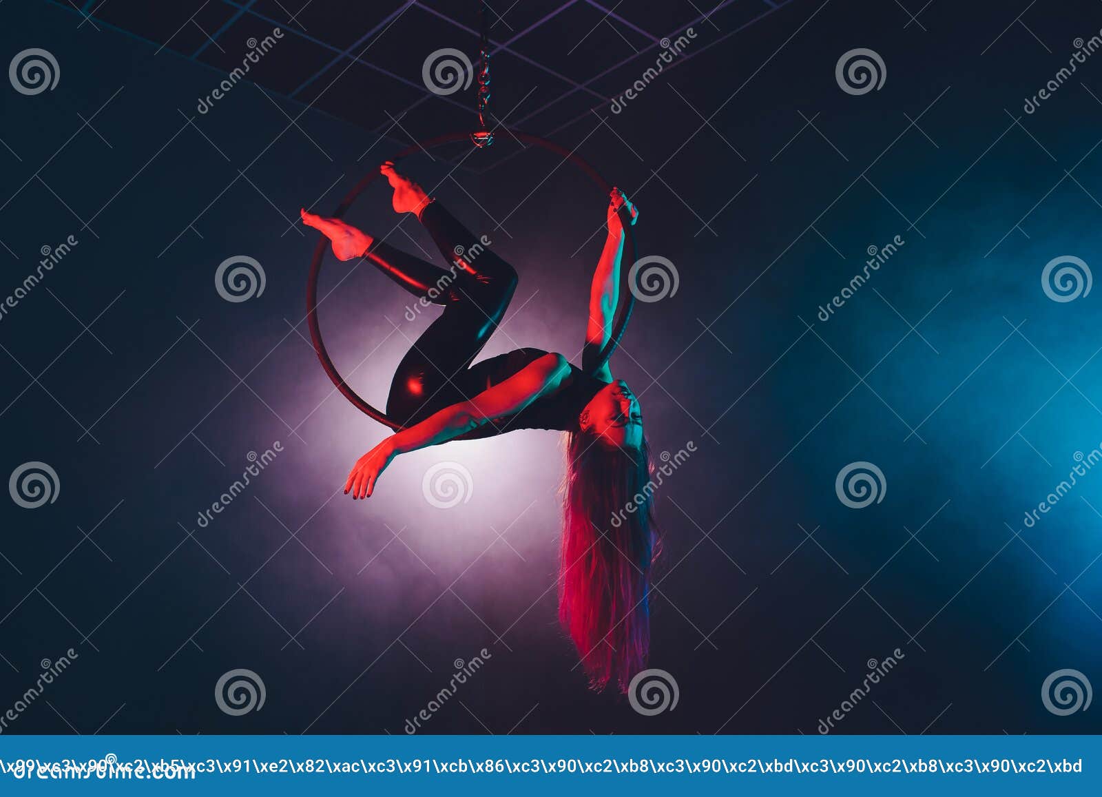Aerial Acrobat in the Ring. a Young Girl Performs the Acrobatic ...