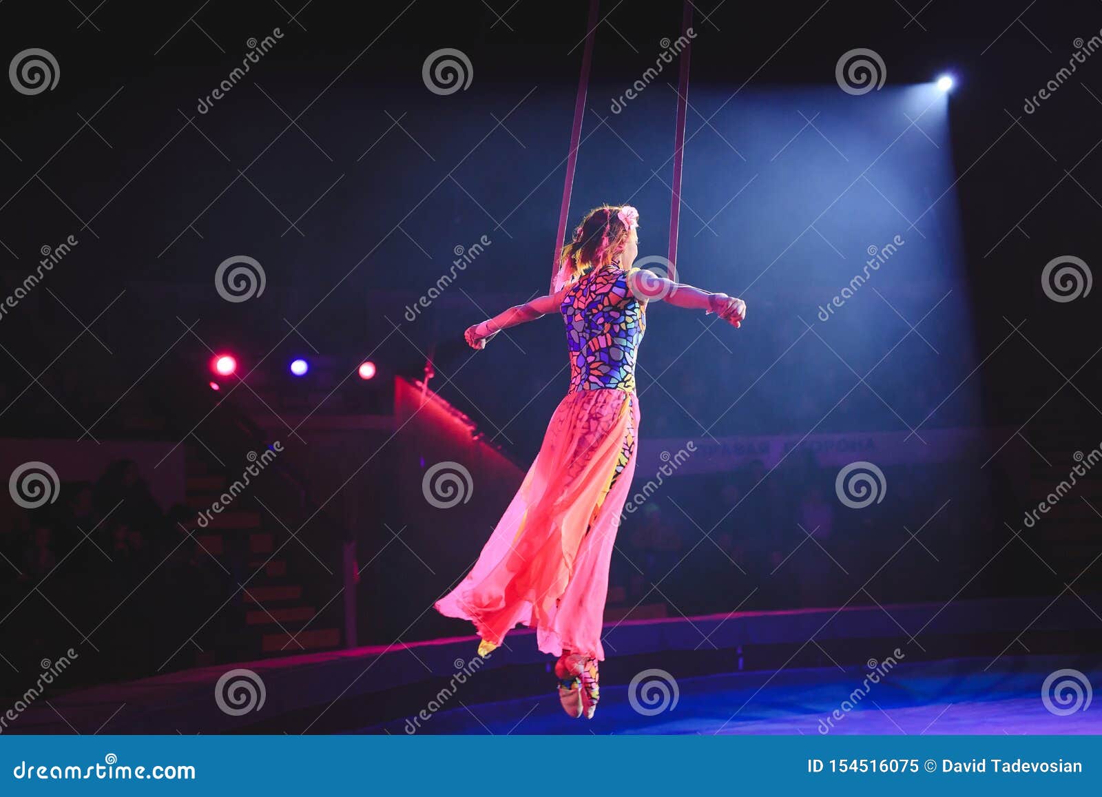 Aerial Acrobat in the Ring. a Young Girl Performs the Acrobatic ...