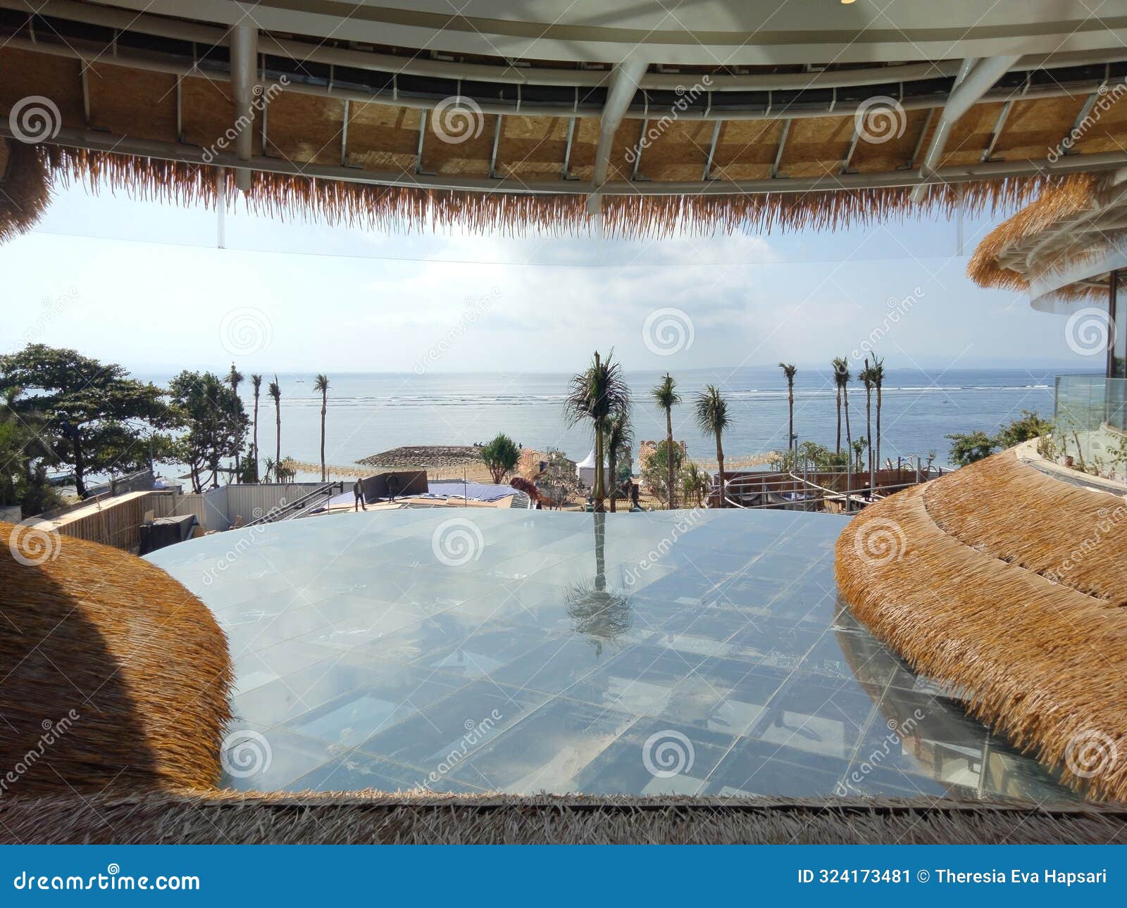 View From Rooftop Of Asphalt Roof Shingles And Gutter Filled With Tree ...