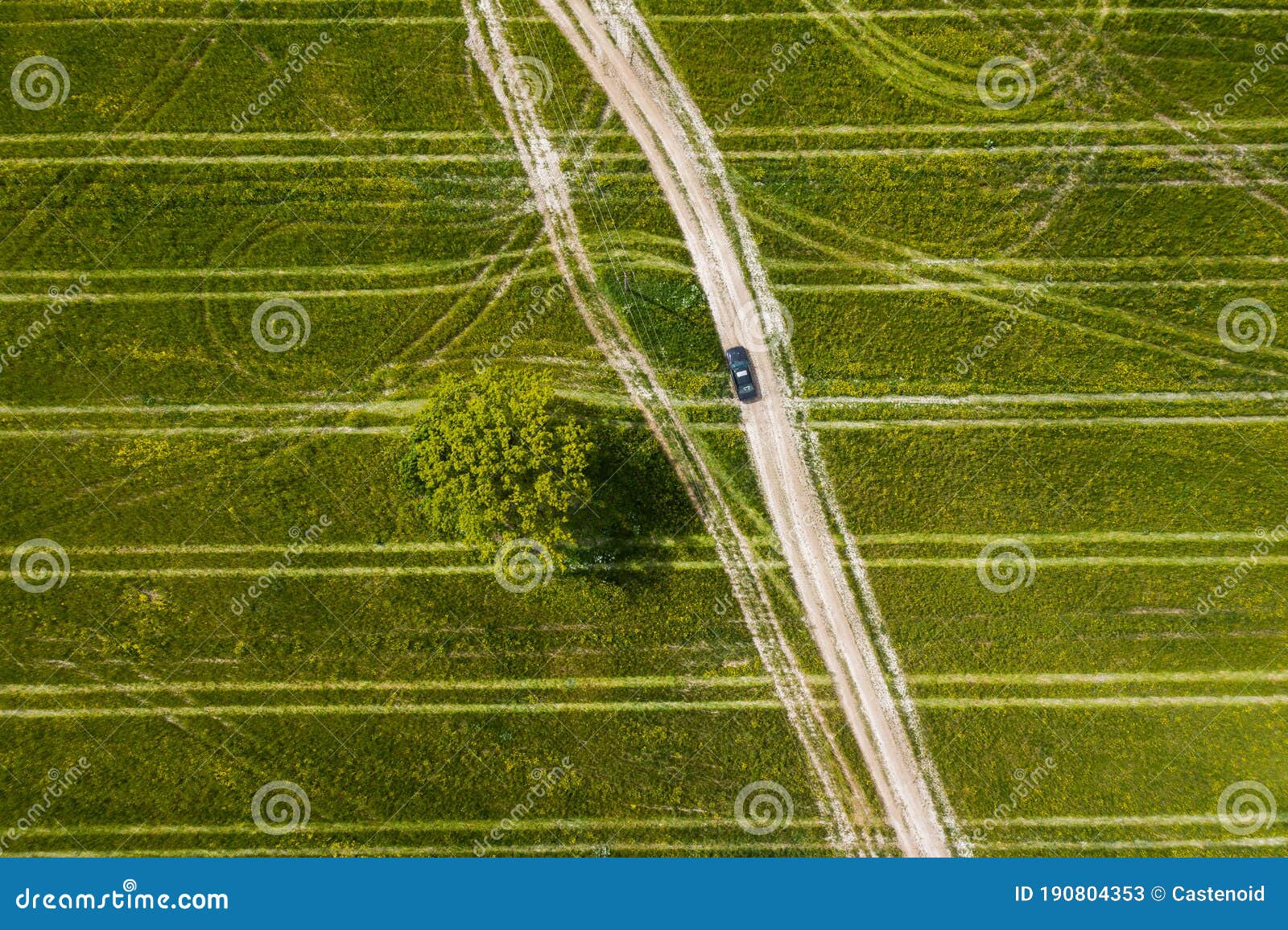 The Car on the Pathway in the Middle of Field Stock Image - Image of ...