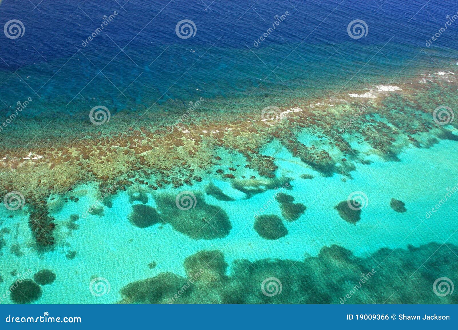 Arial View Coral Reef