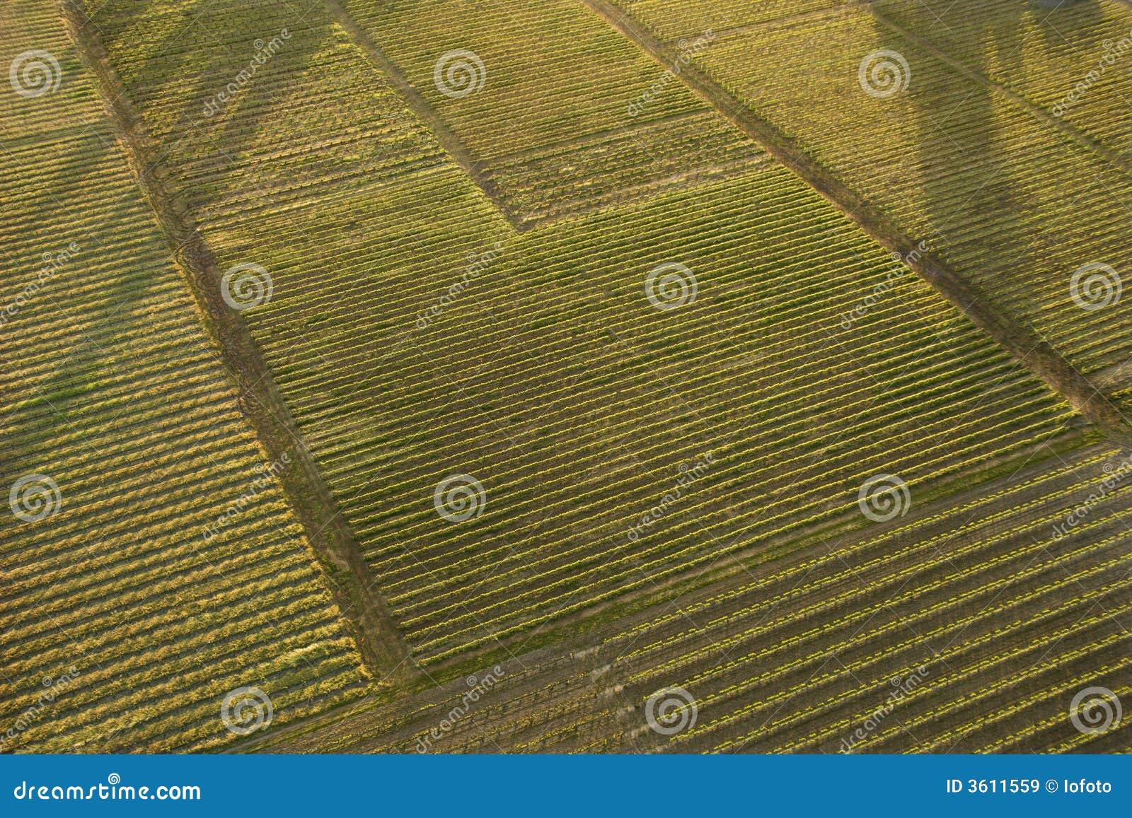 Aerial of crops. stock image. Image of lines, pattern - 3611559