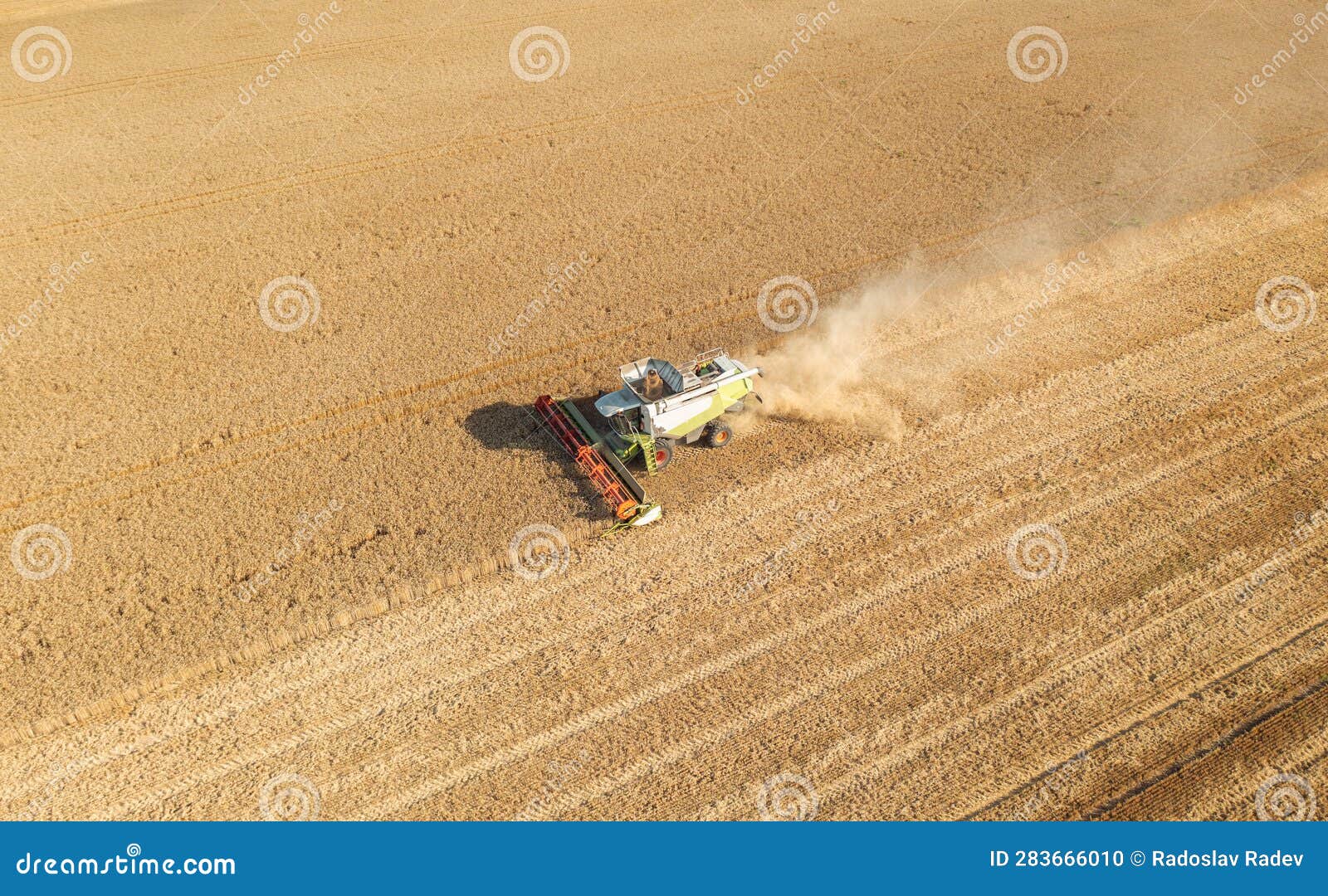 Top View Combine Harvester Gathers The Wheat At Sunset. Harvesting ...