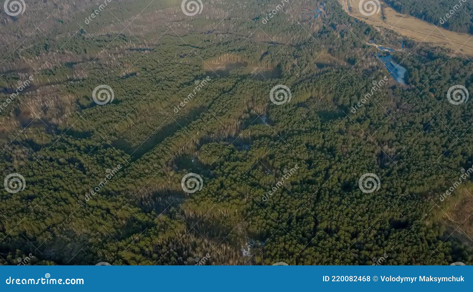 Aerial Drone View of Deforestation of a Pine Forest. Ecology Concept ...