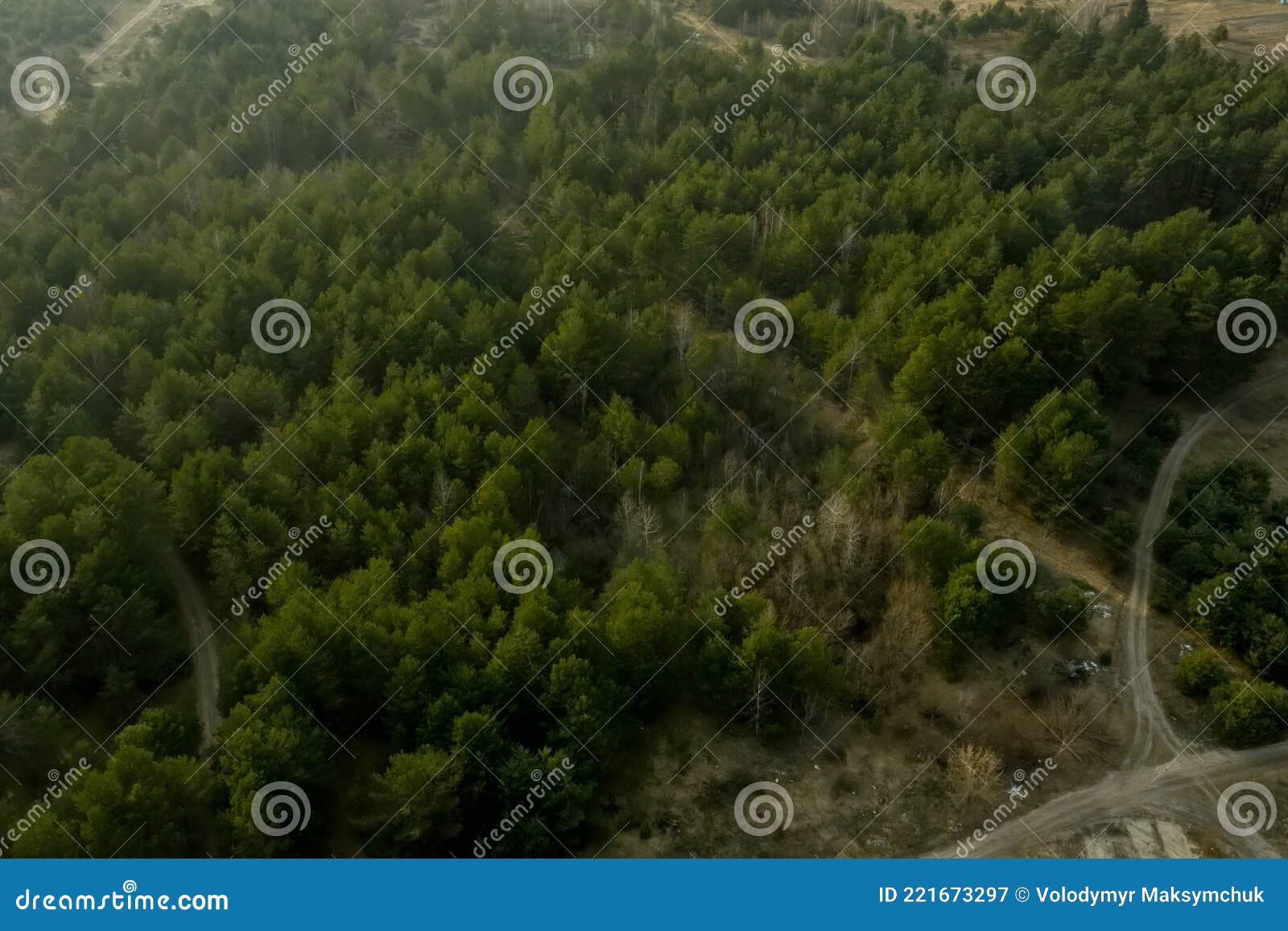 Aerial Drone View of Deforestation of a Pine Forest. Ecology Concept ...