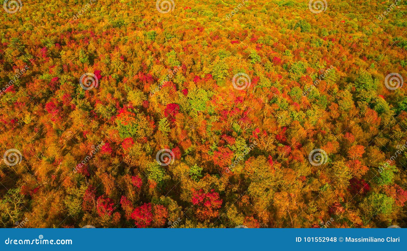 Aerial Drone View of Stunning Colorful Autumn Fall Forest. Drone Aerial ...